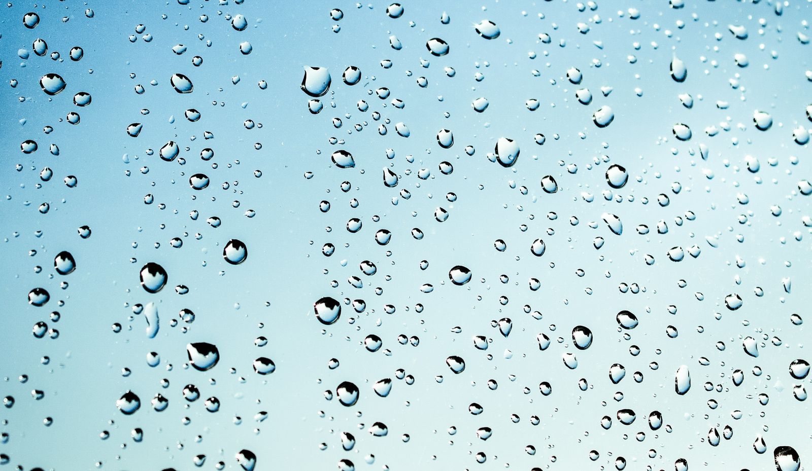 Raindrops Photos, Download The BEST Free Raindrops Stock Photos & HD Images