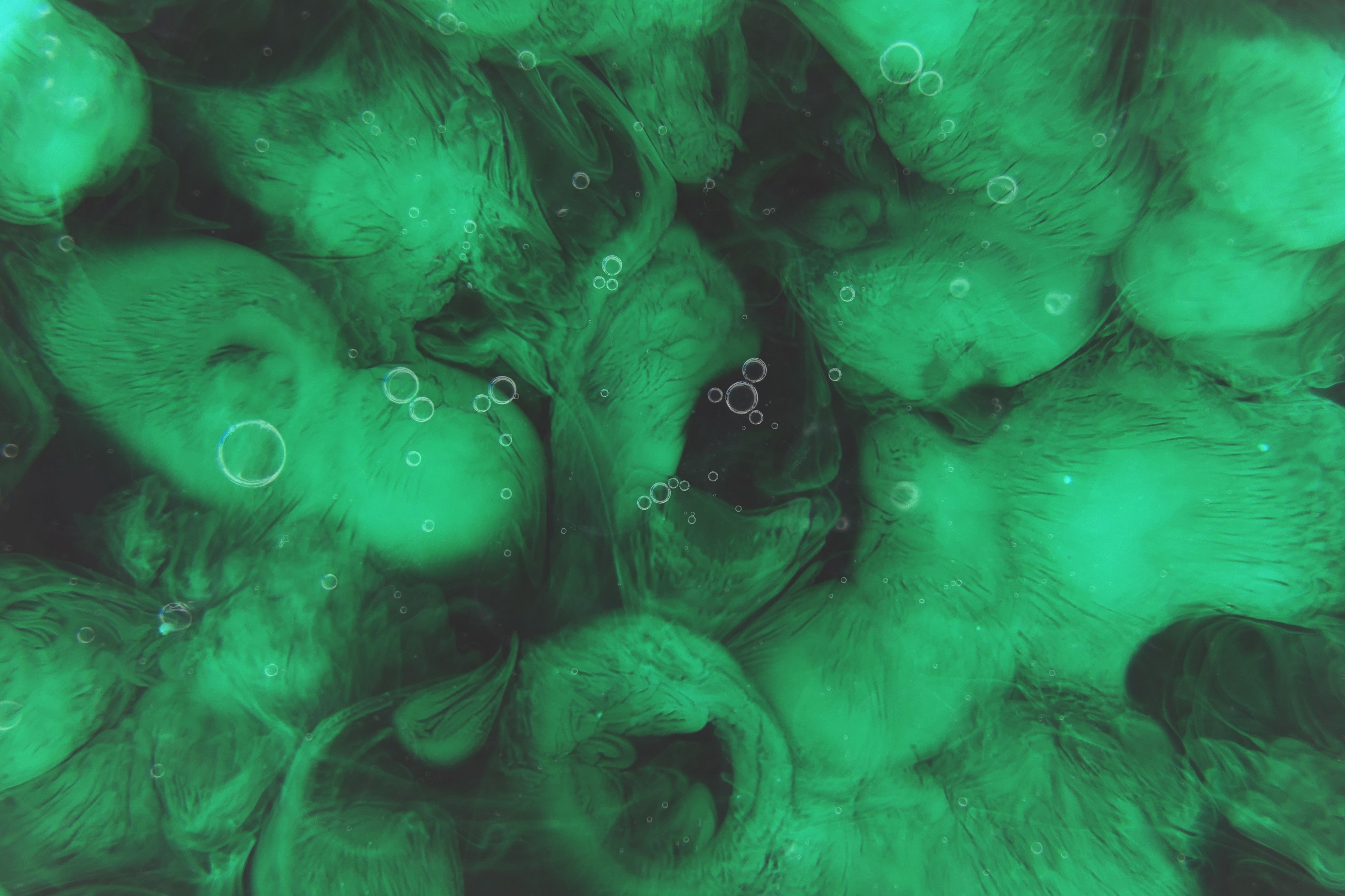 Green Texture and Bubbles · Free Stock Photo