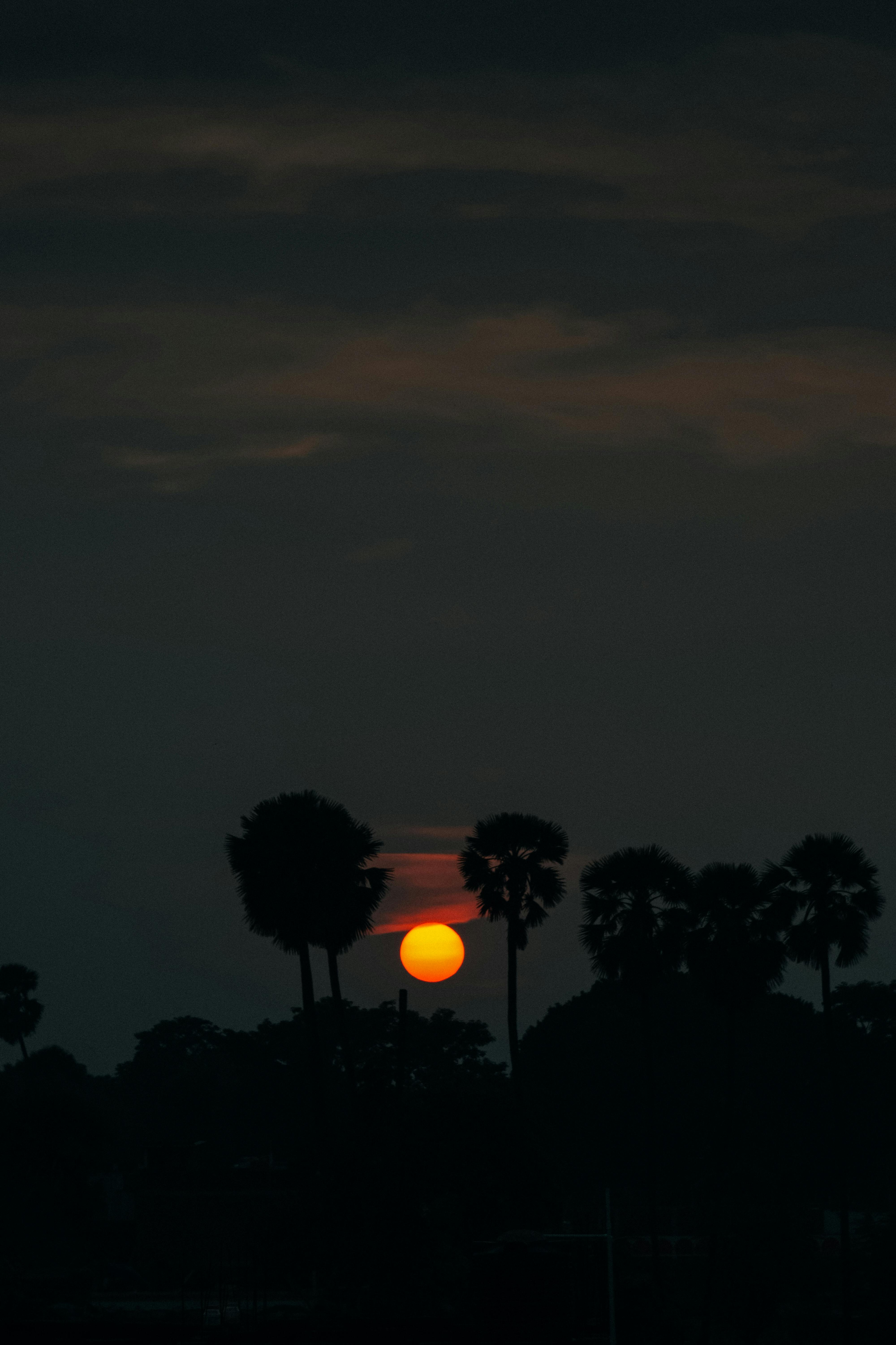 New view studios - 사진