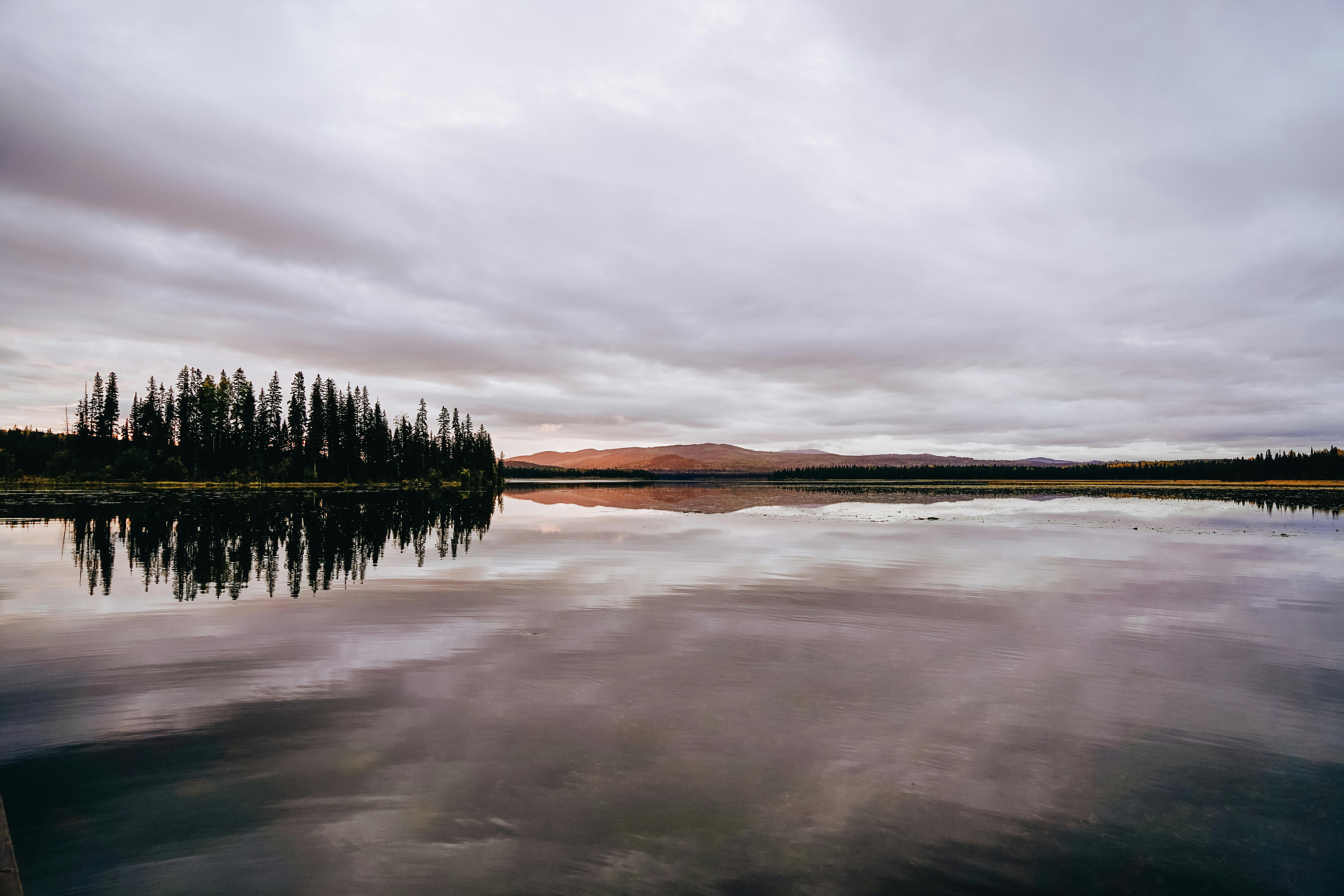 Overcast over Road · Free Stock Photo