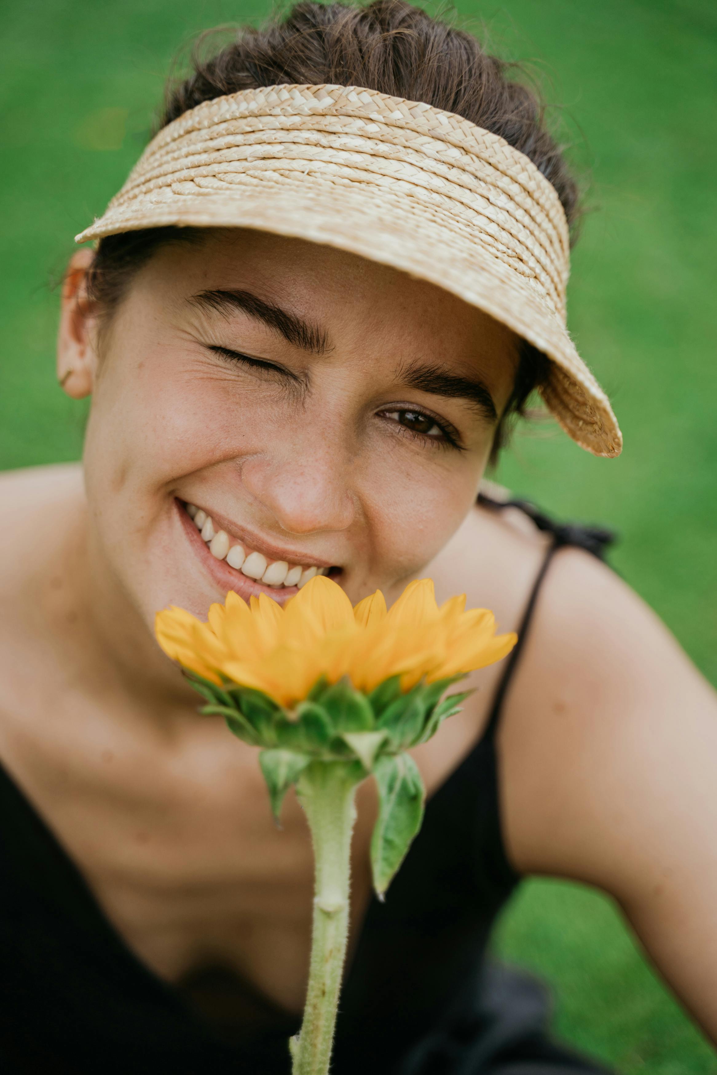 Sunflower Wink Photos, Download The BEST Free Sunflower Wink Stock ...