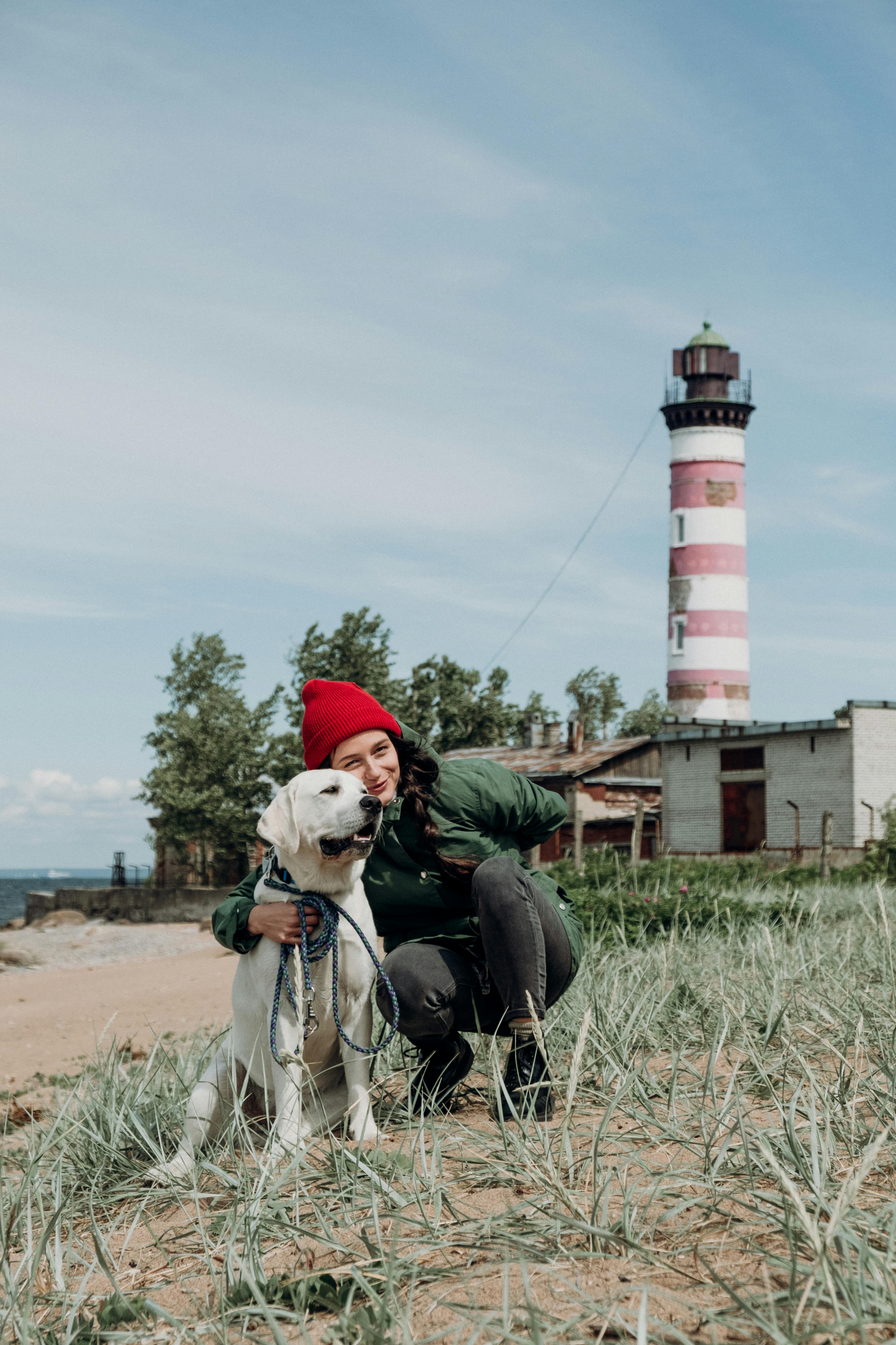 Lighthouse Animation Photos, Download The BEST Free Lighthouse ...