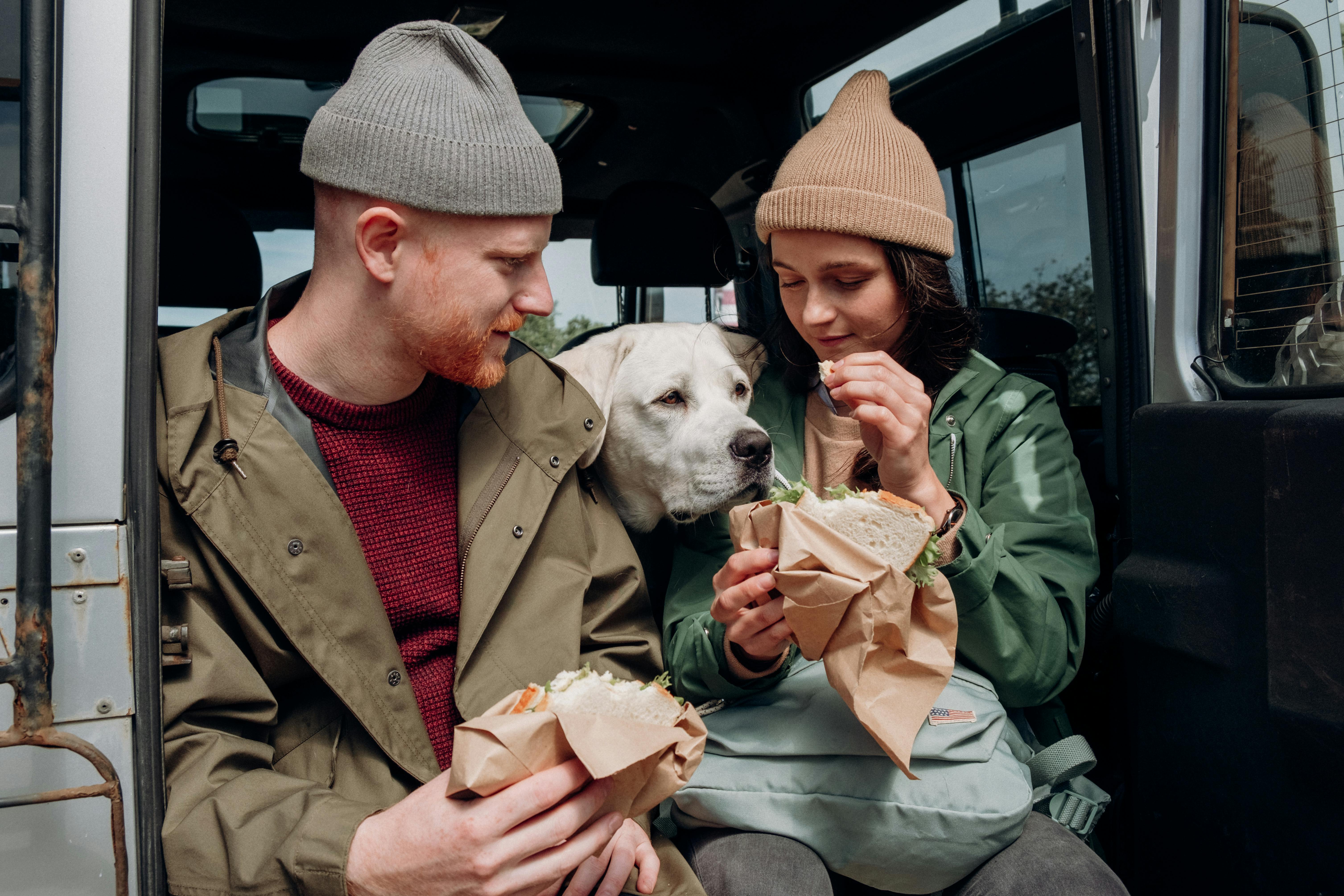 Woman Giving Food to a Dog · Free Stock Photo