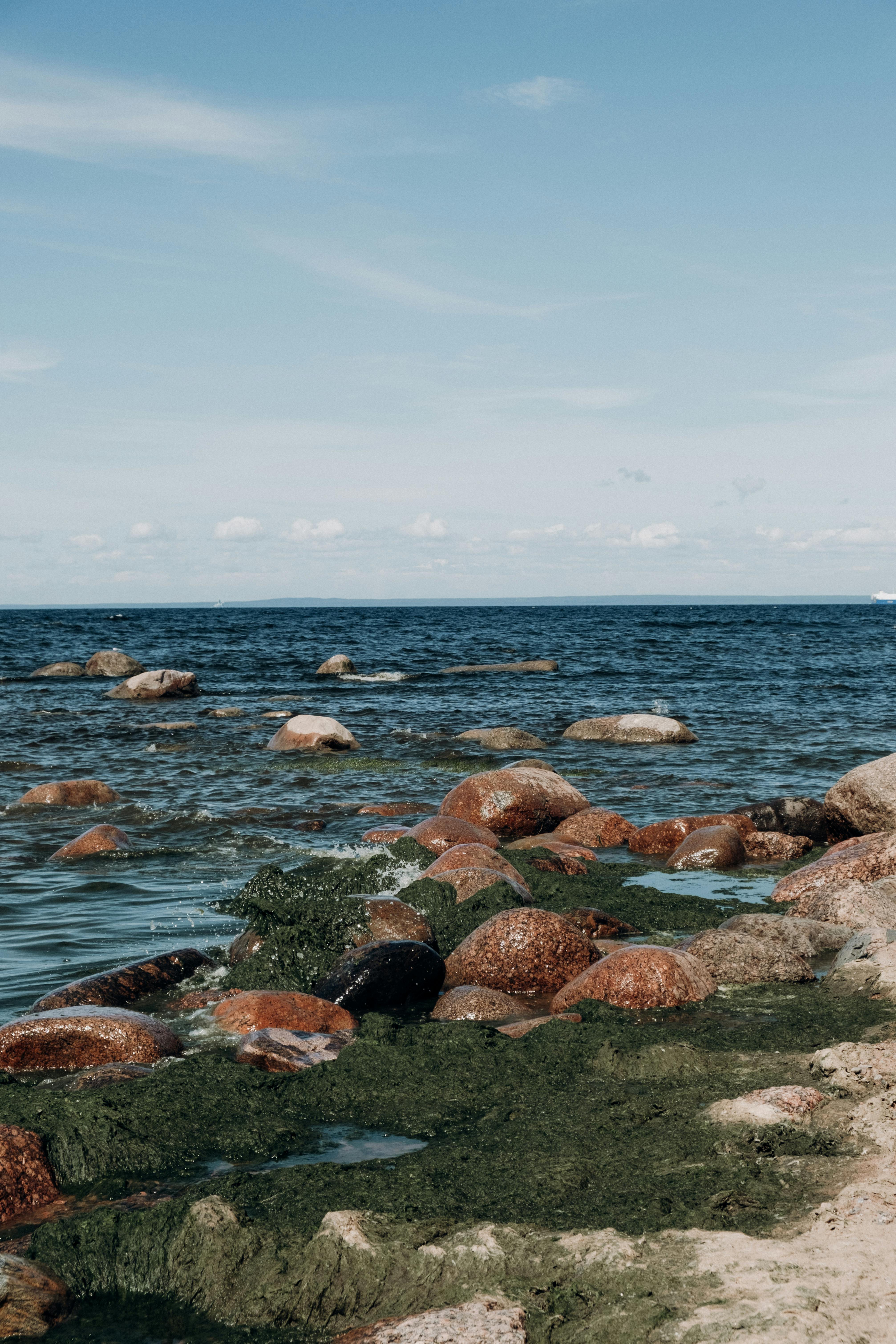 Photography Of Seashore · Free Stock Photo