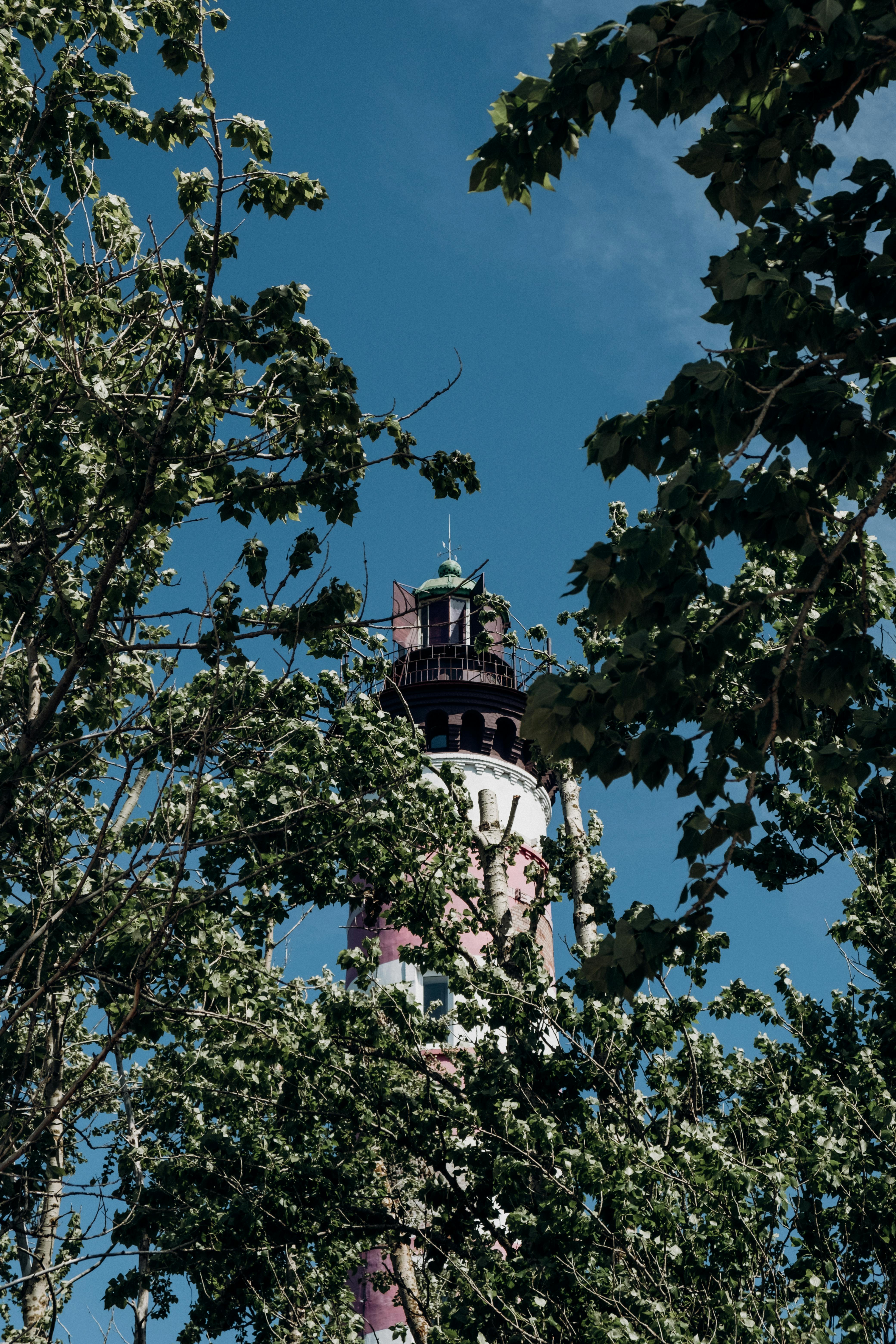 Lighthouse near Trees · Free Stock Photo