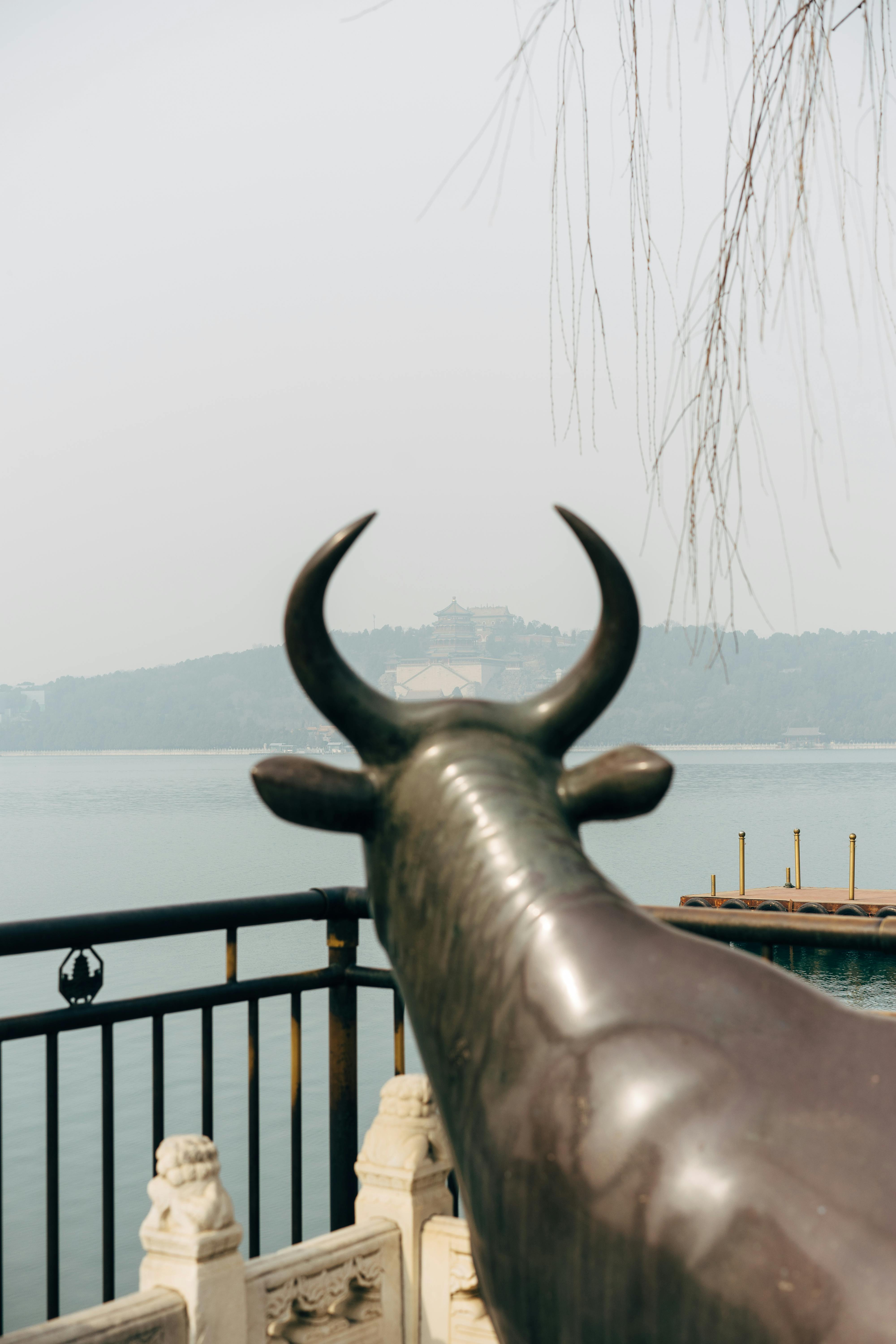 Bull Landmark Photos, Download The BEST Free Bull Landmark Stock Photos ...