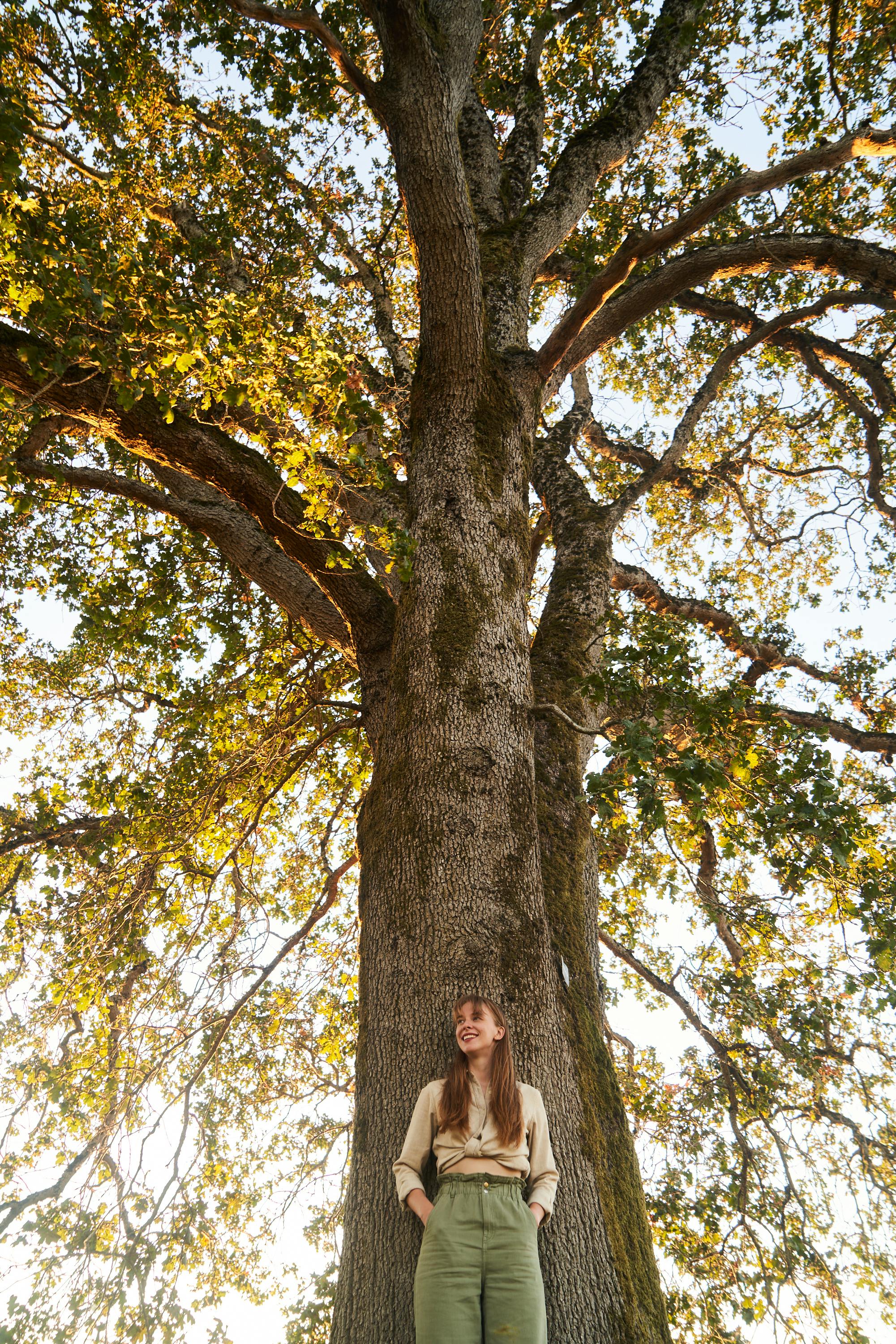 Portrait of a Woman Standing Under a Tree · Free Stock Photo