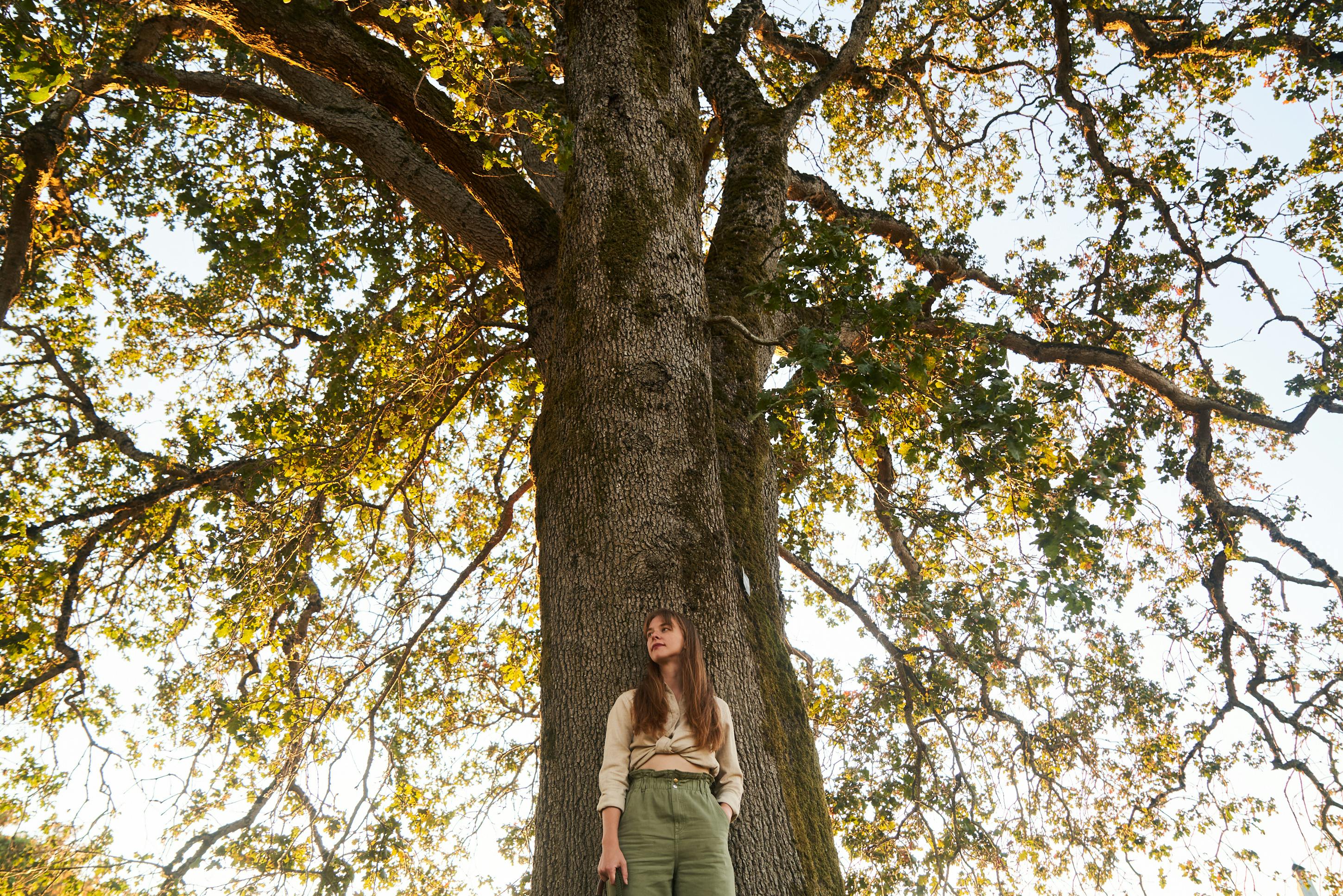 Low-Angle Photo of Woman Leaning on Tree · Free Stock Photo