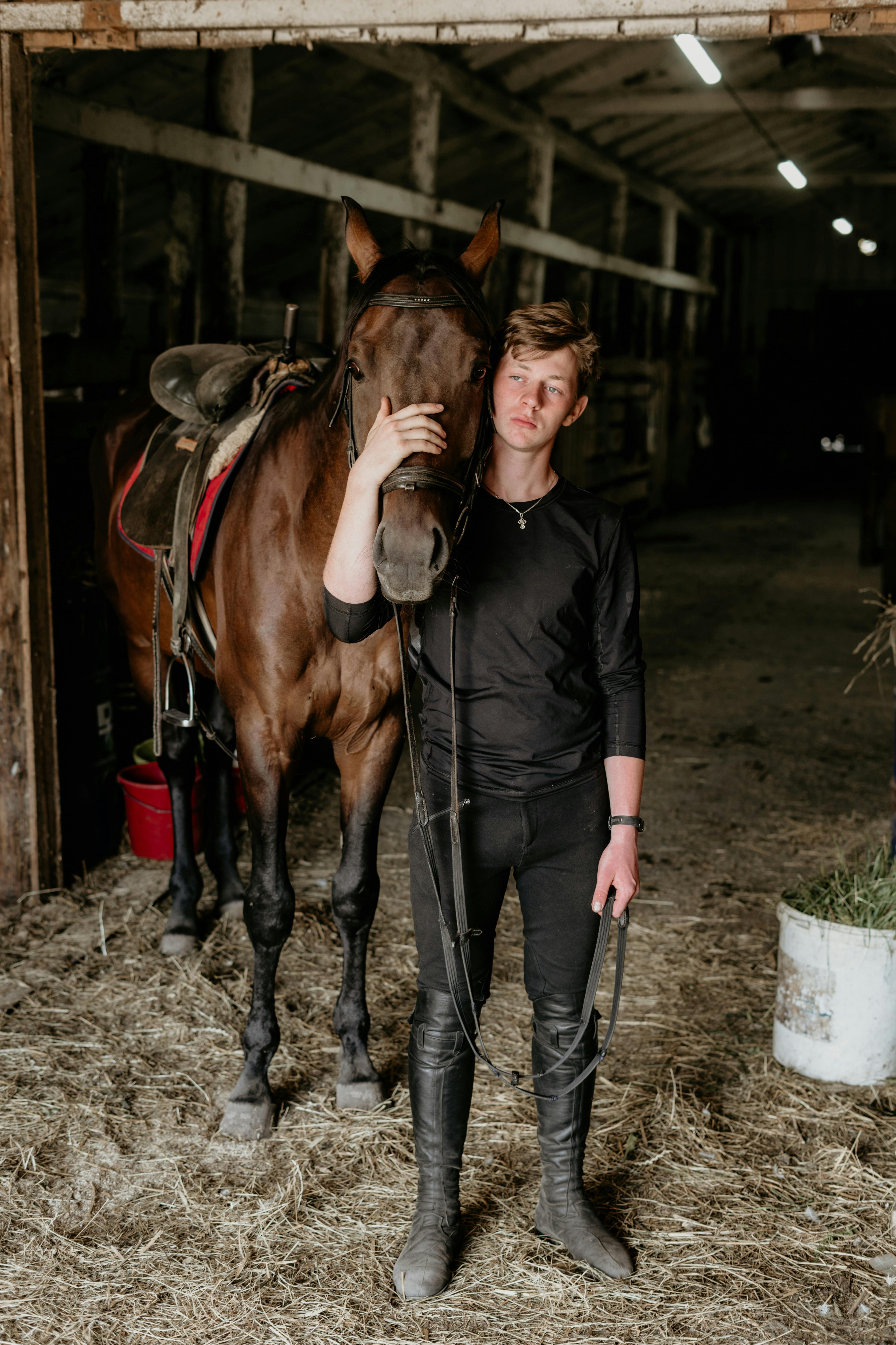 Stableman Photos, Download The BEST Free Stableman Stock Photos & HD Images