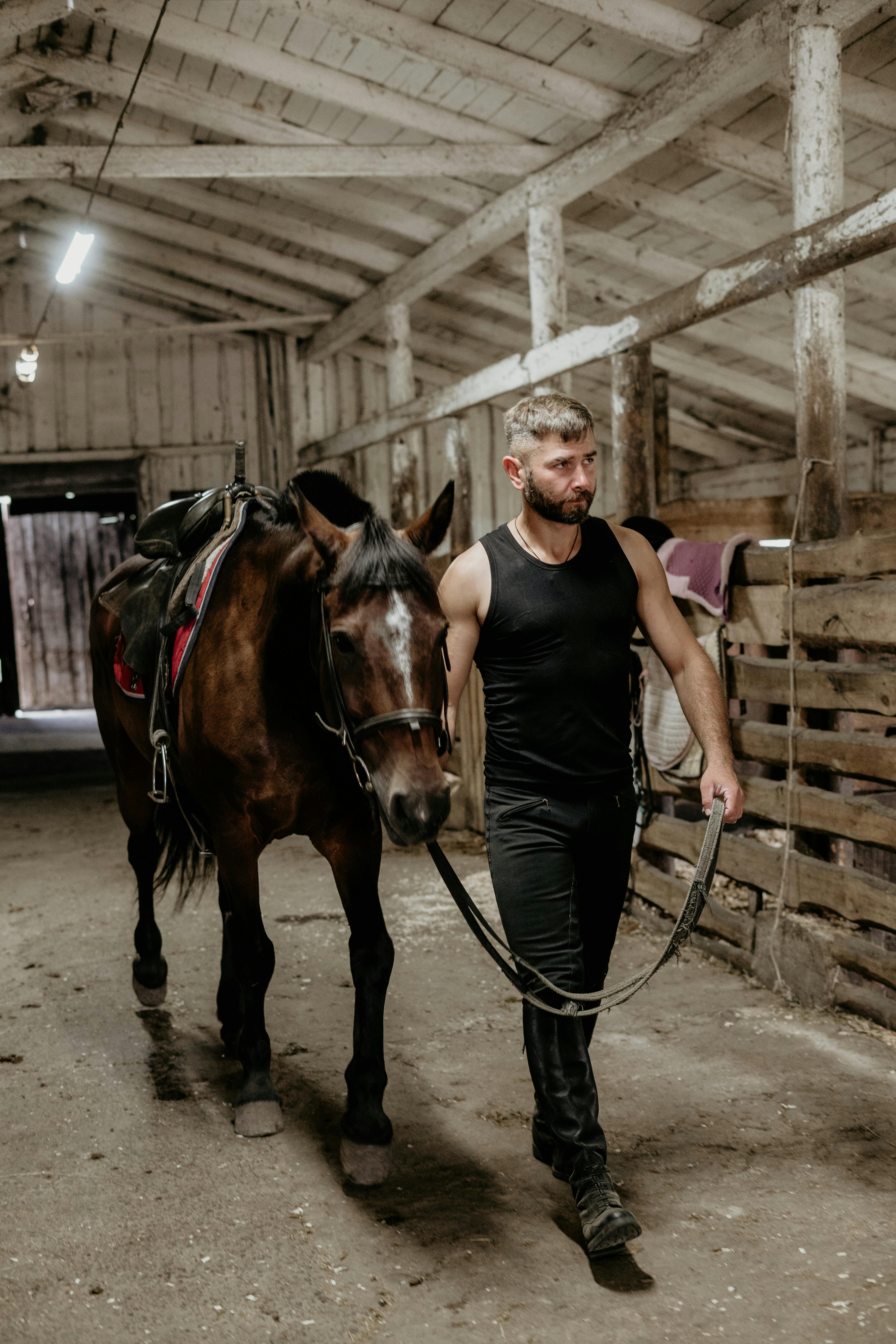 Man in Black Tank Top Leading a Horse Inside a Stable · Free Stock Photo