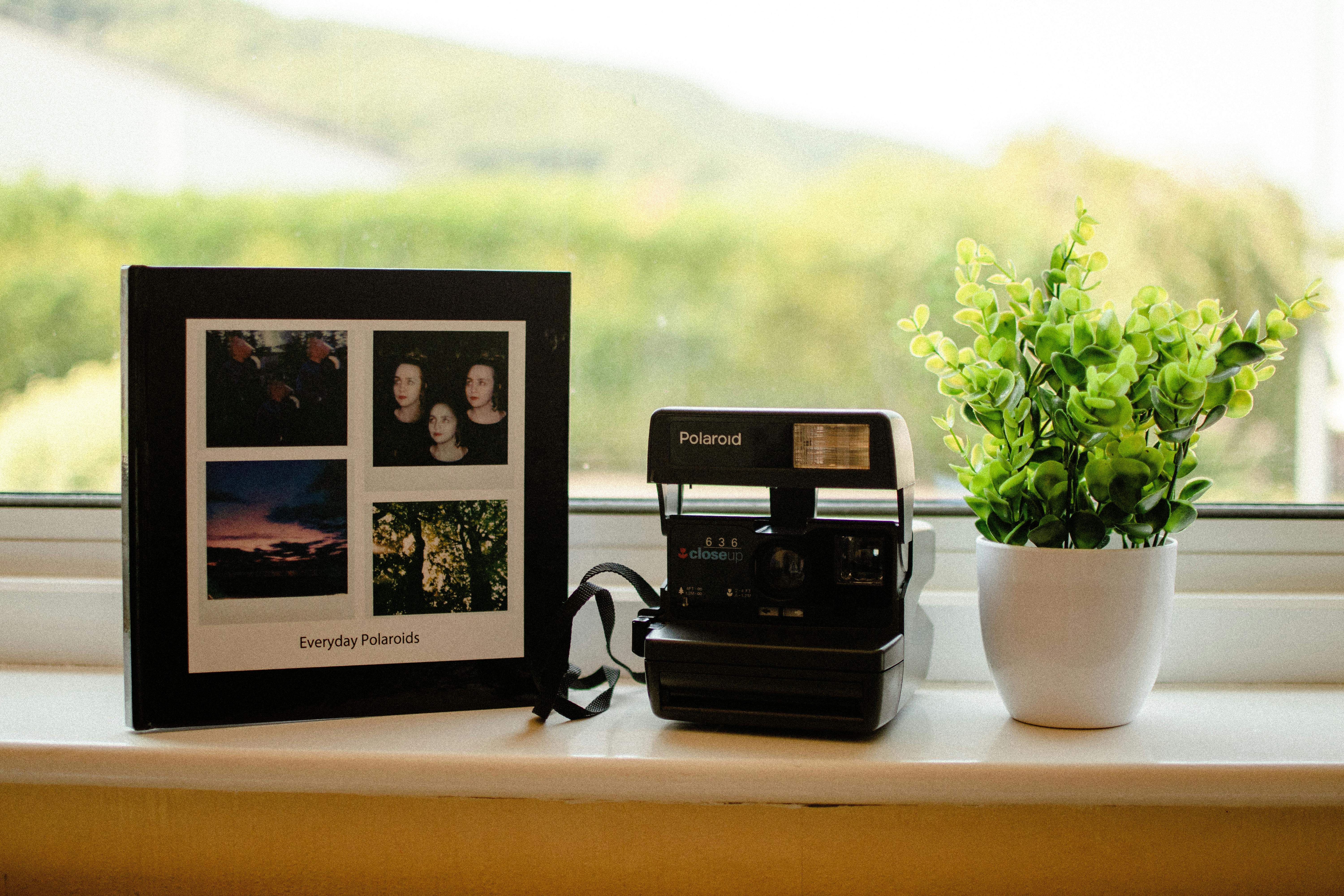 Collage Photo Collage · Free Stock Photo