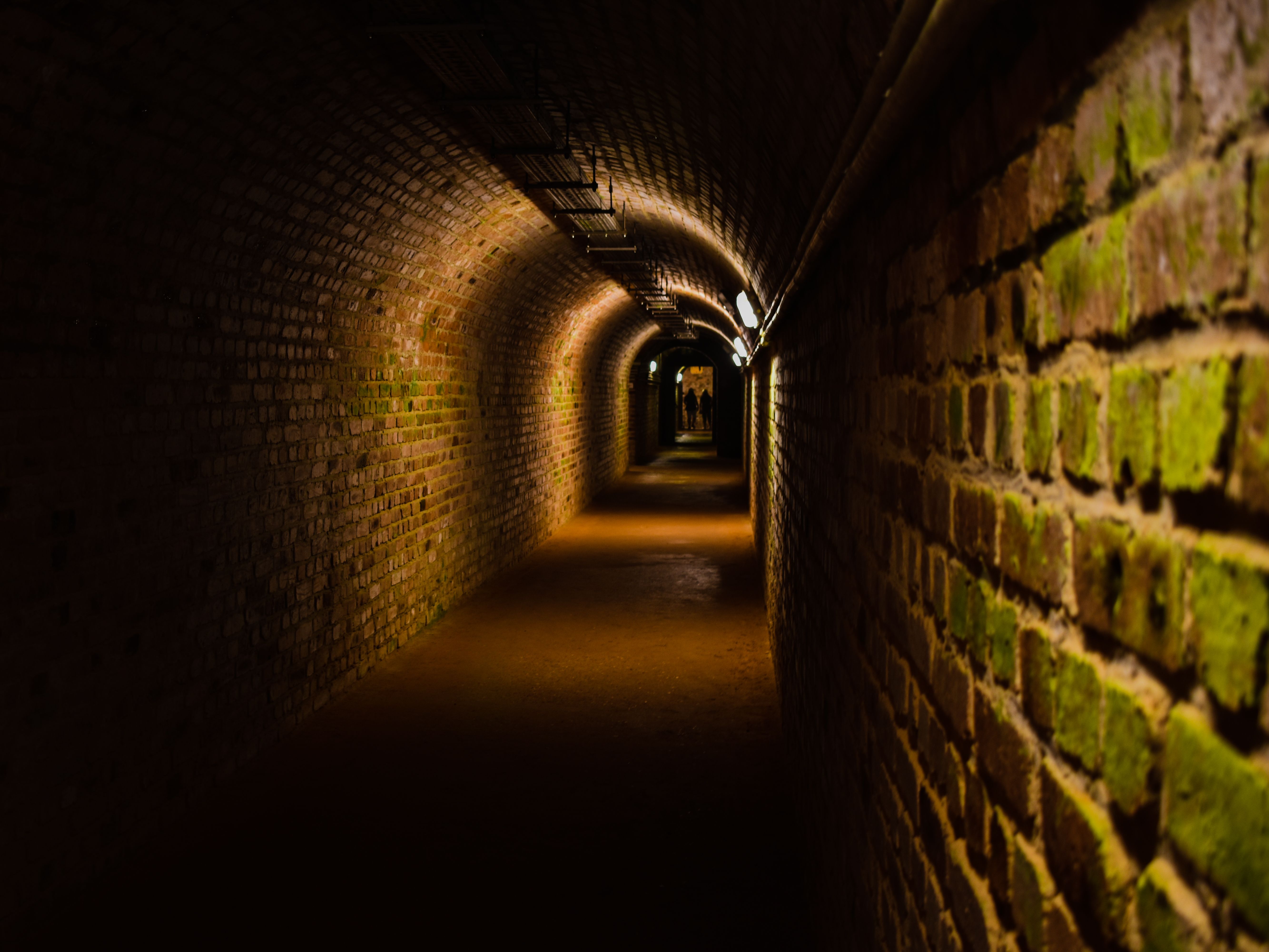 Inside a Brick Tunnel · Free Stock Photo