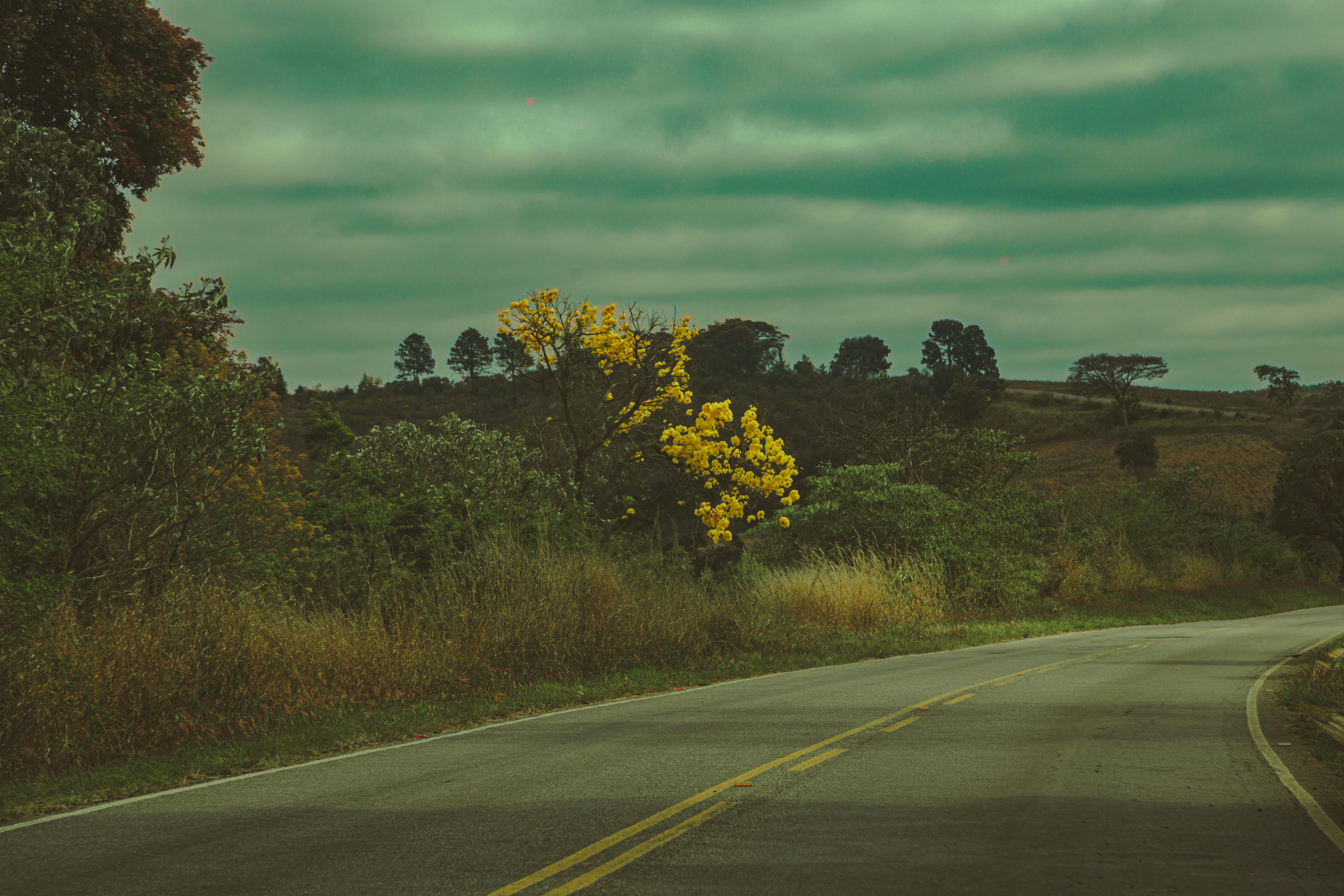 Wavy road between mountain and sea under cloudy sky · Free Stock Photo