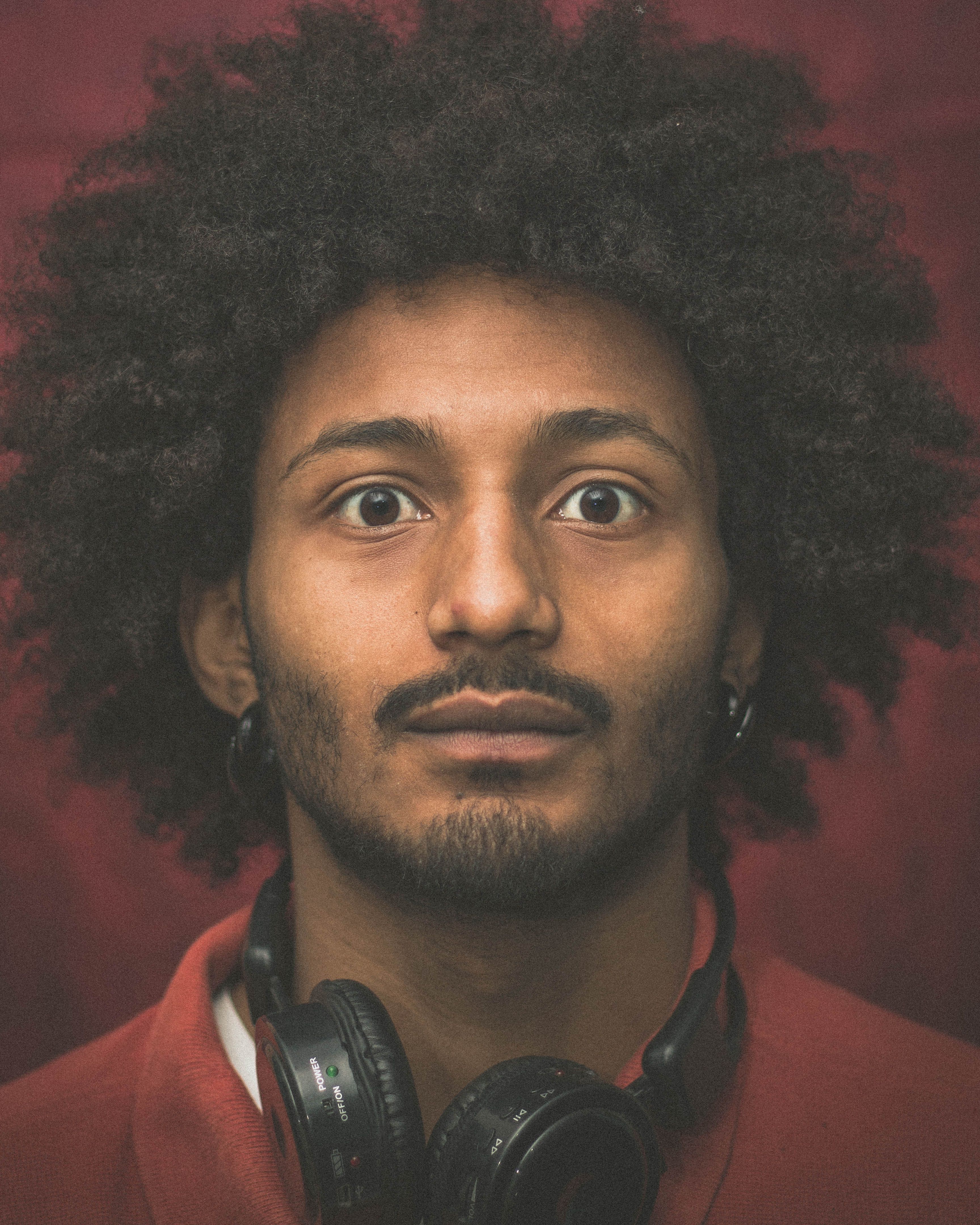 Portrait of a Handsome Man with Afro Hair Looking at the Camera · Free ...