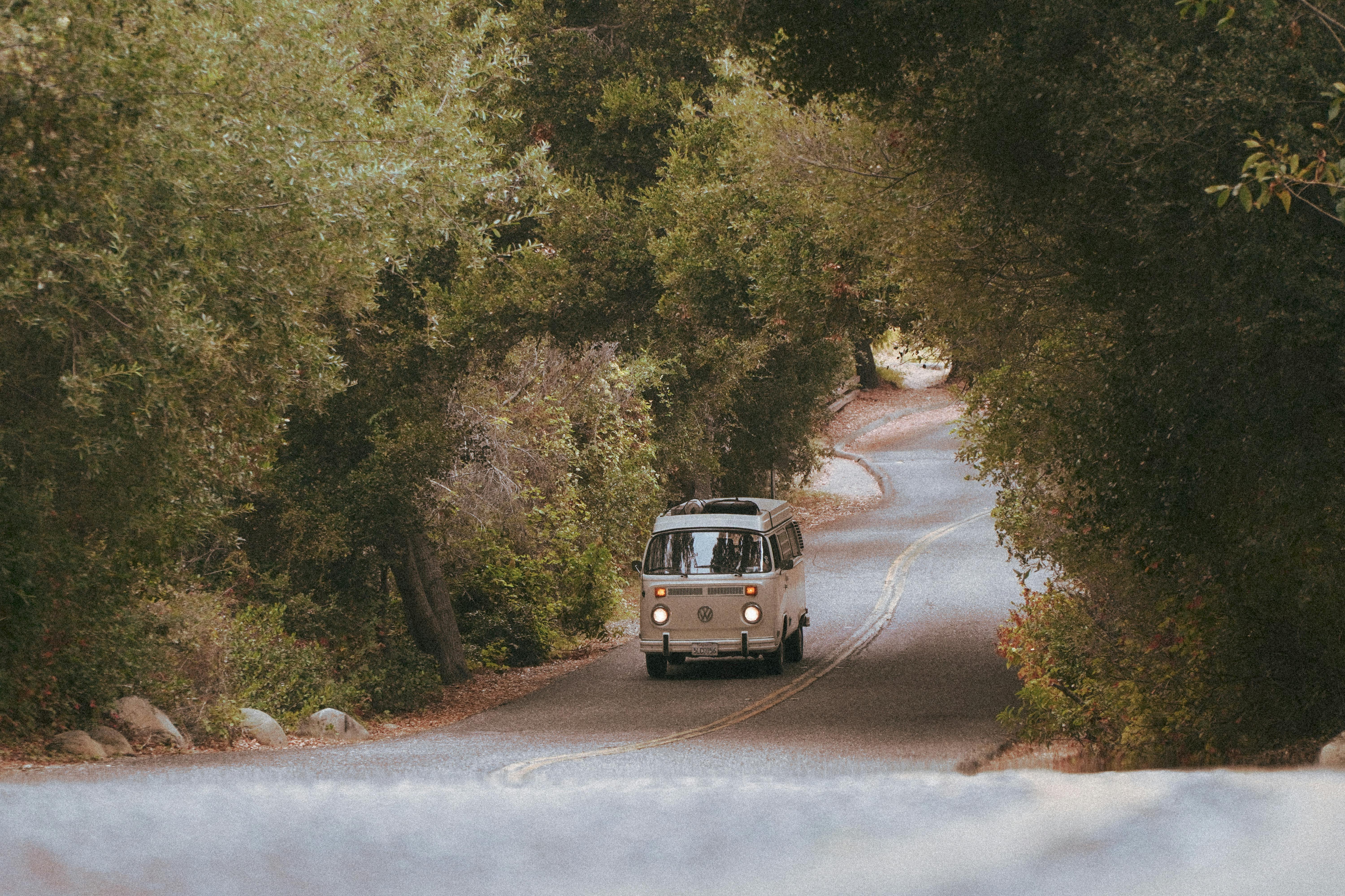 Classic Van on the Road between Trees · Free Stock Photo