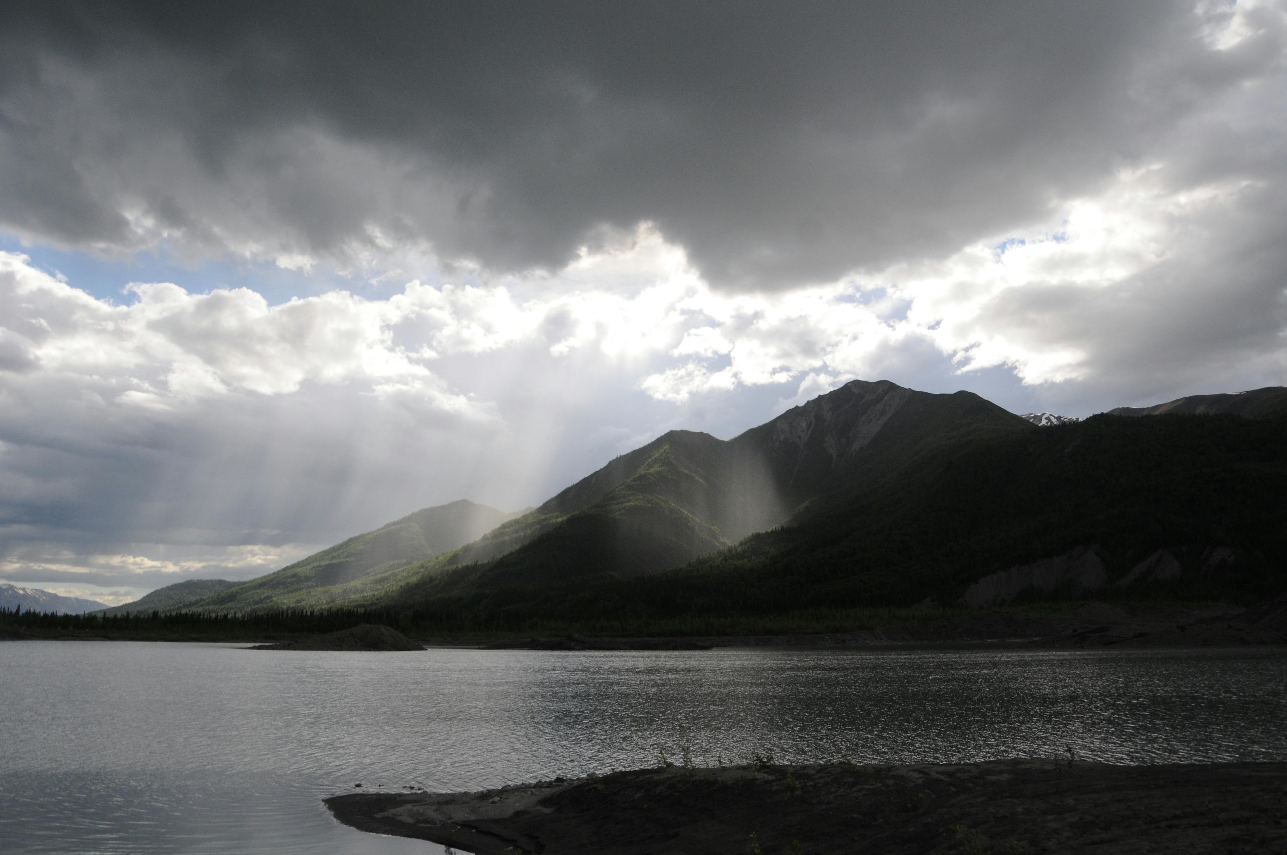 Nicholas Johnston - Fotografía