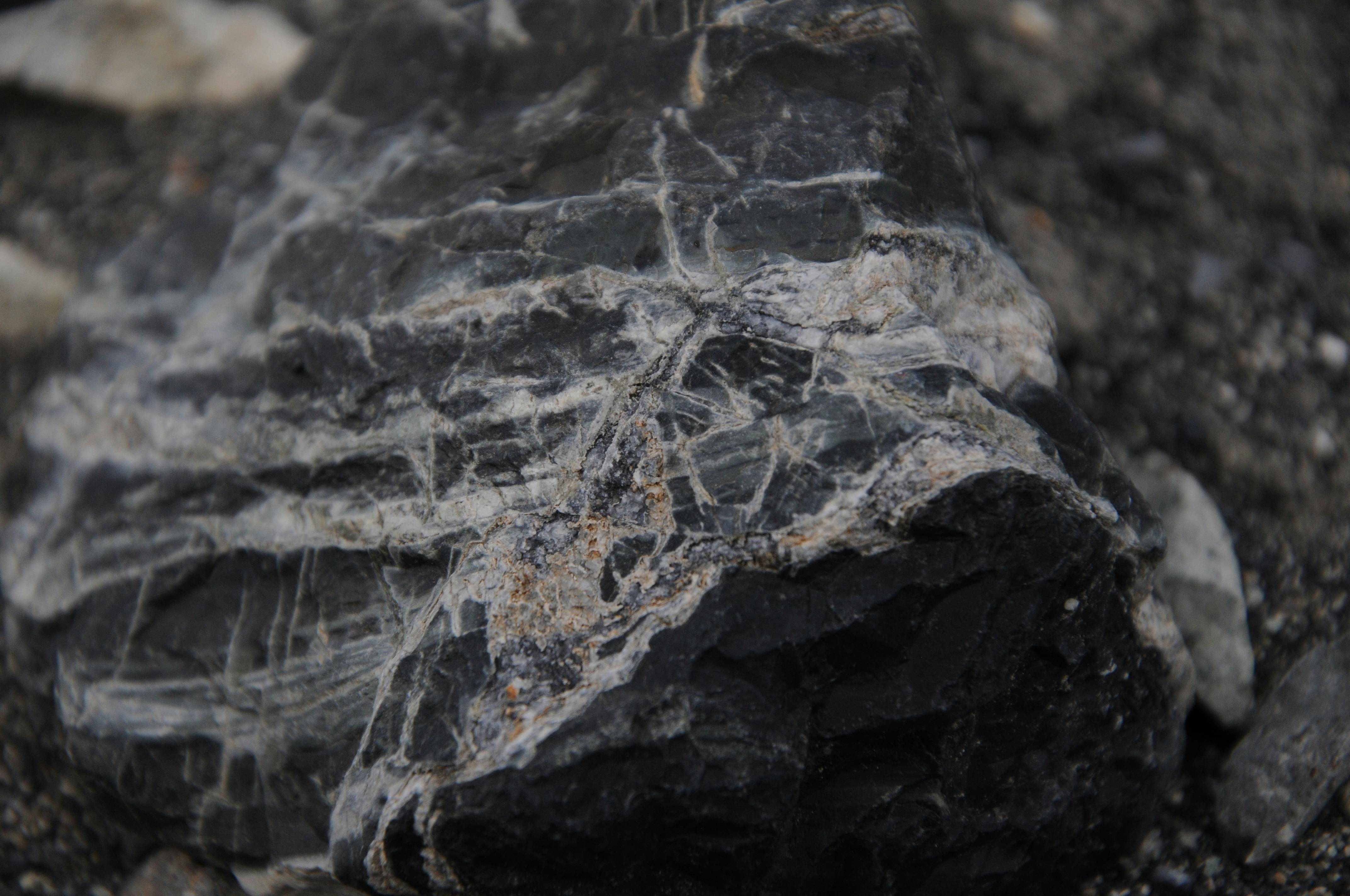 Nicholas Johnston - Photographie