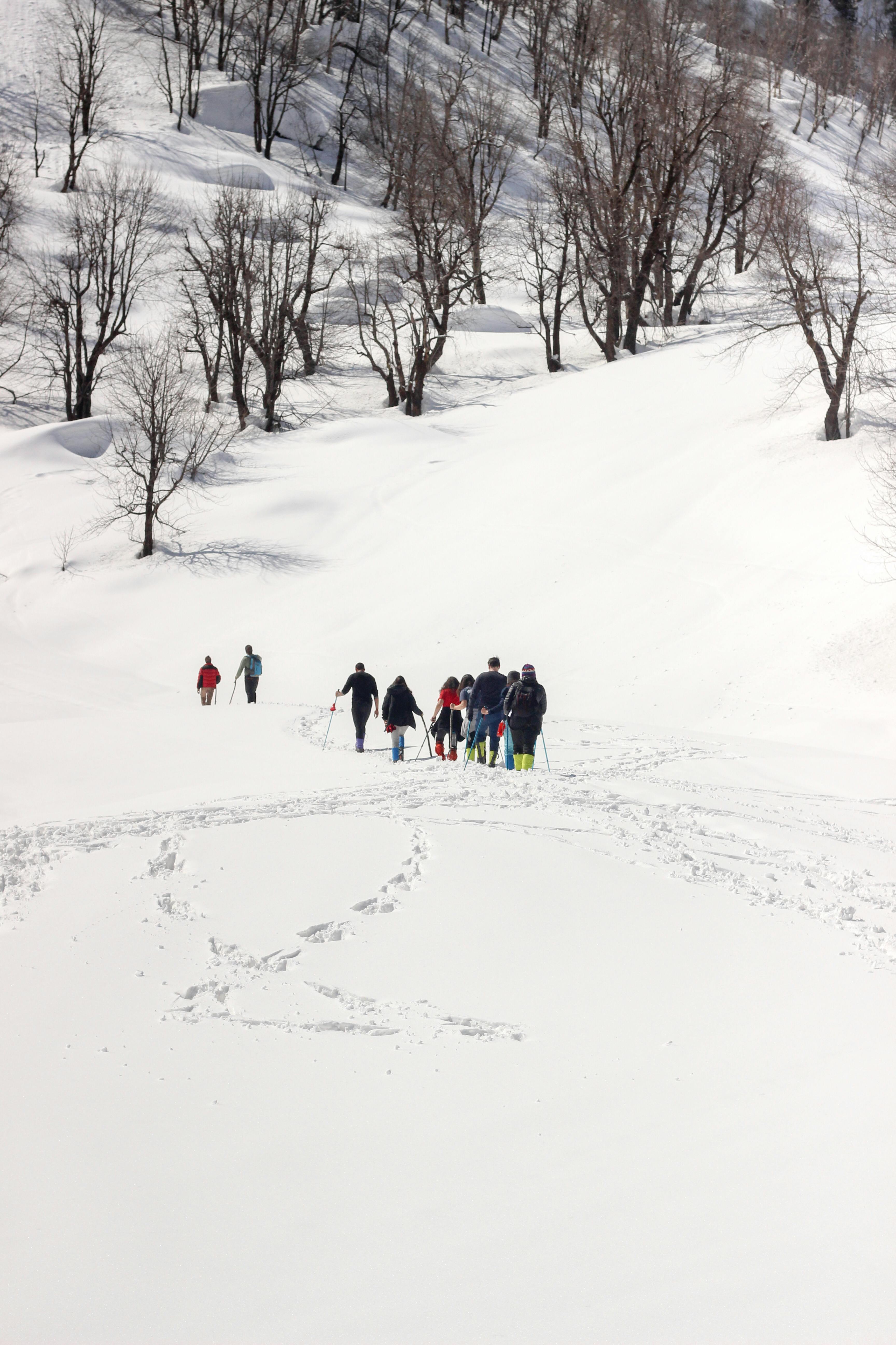 People Walking on Snow Field Grayscale Photography · Free Stock Photo