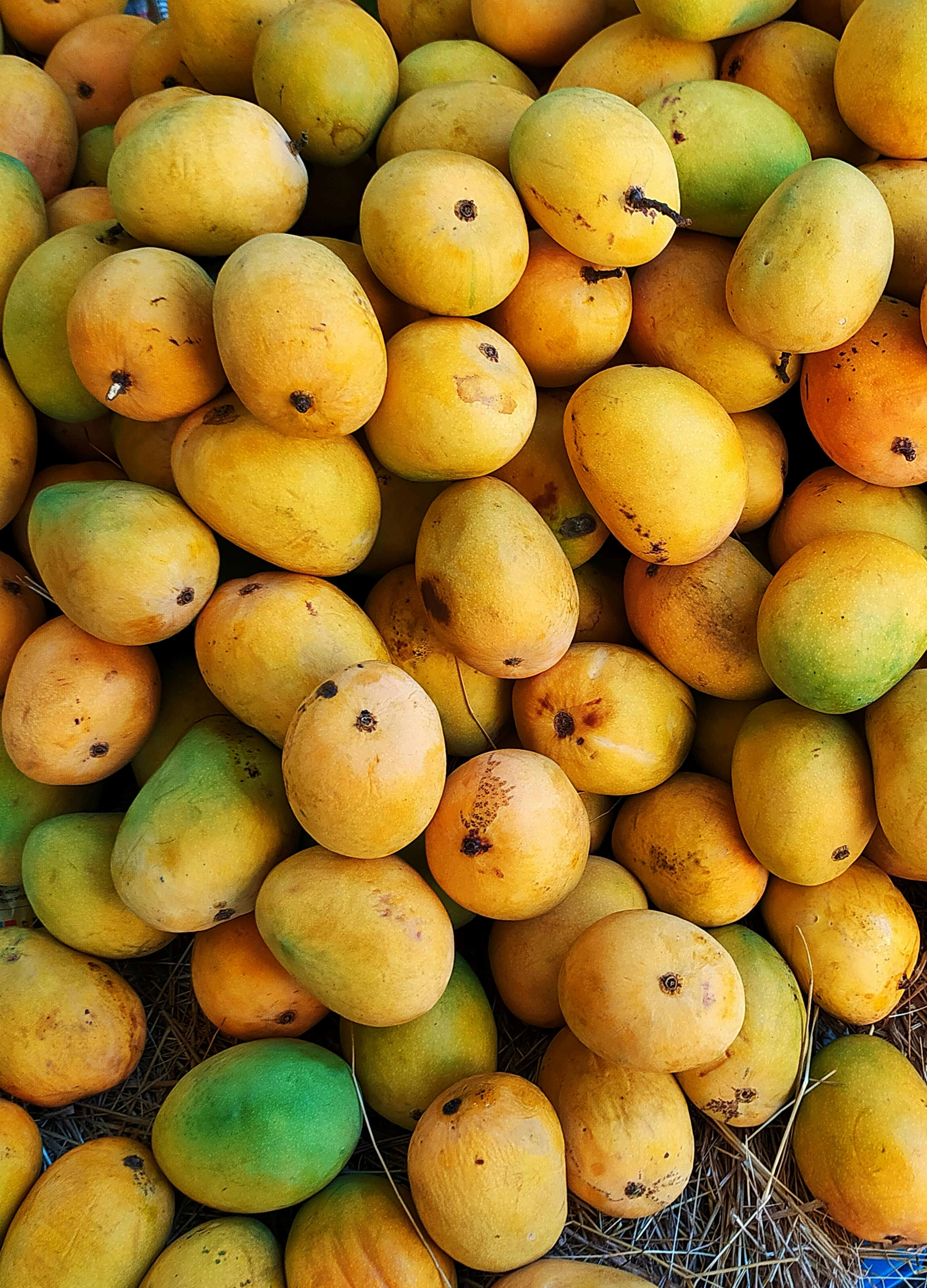 Close-up Photo of Heap of Mango · Free Stock Photo