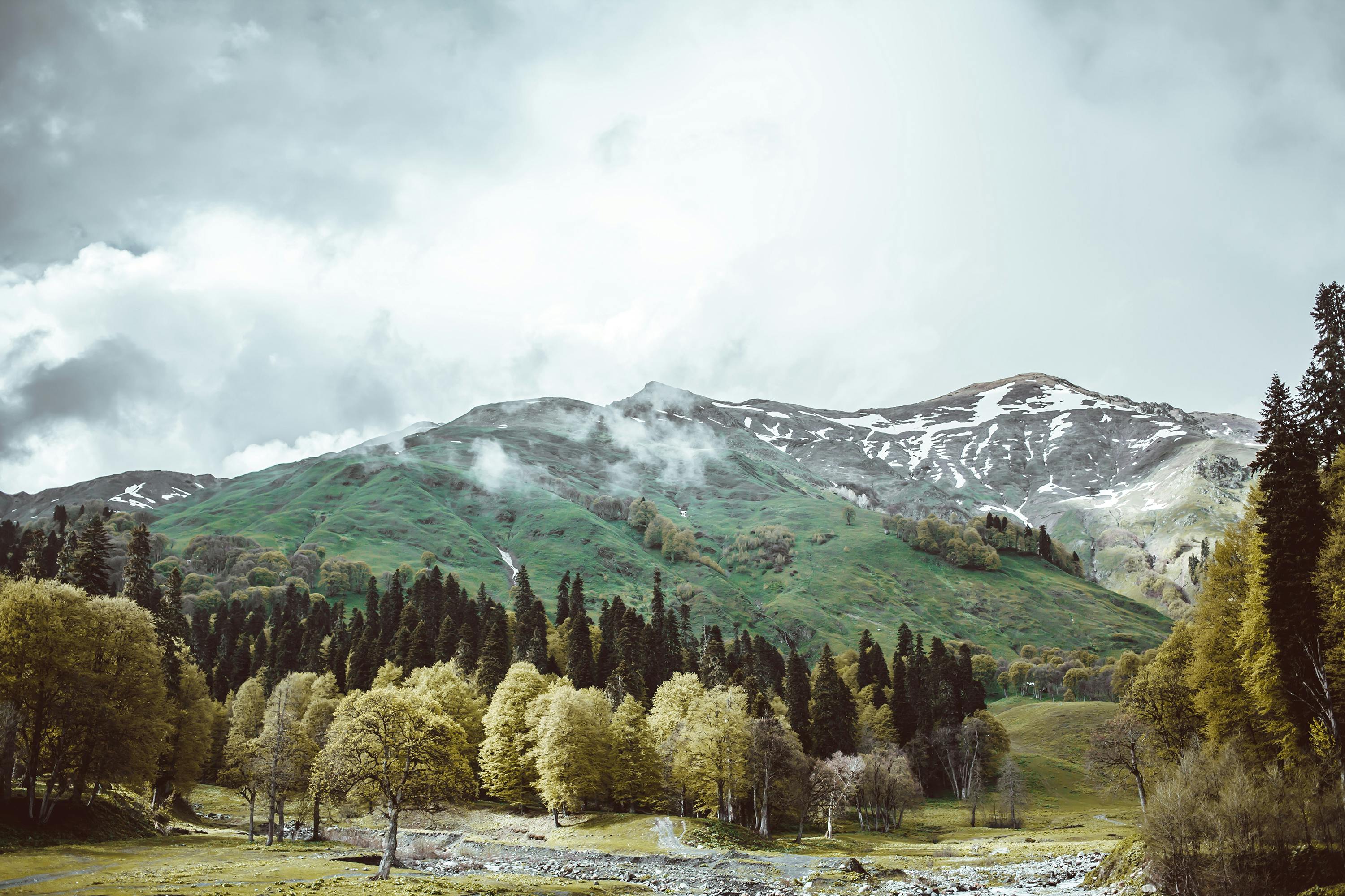 Snowy mountains behind green hill and trees · Free Stock Photo