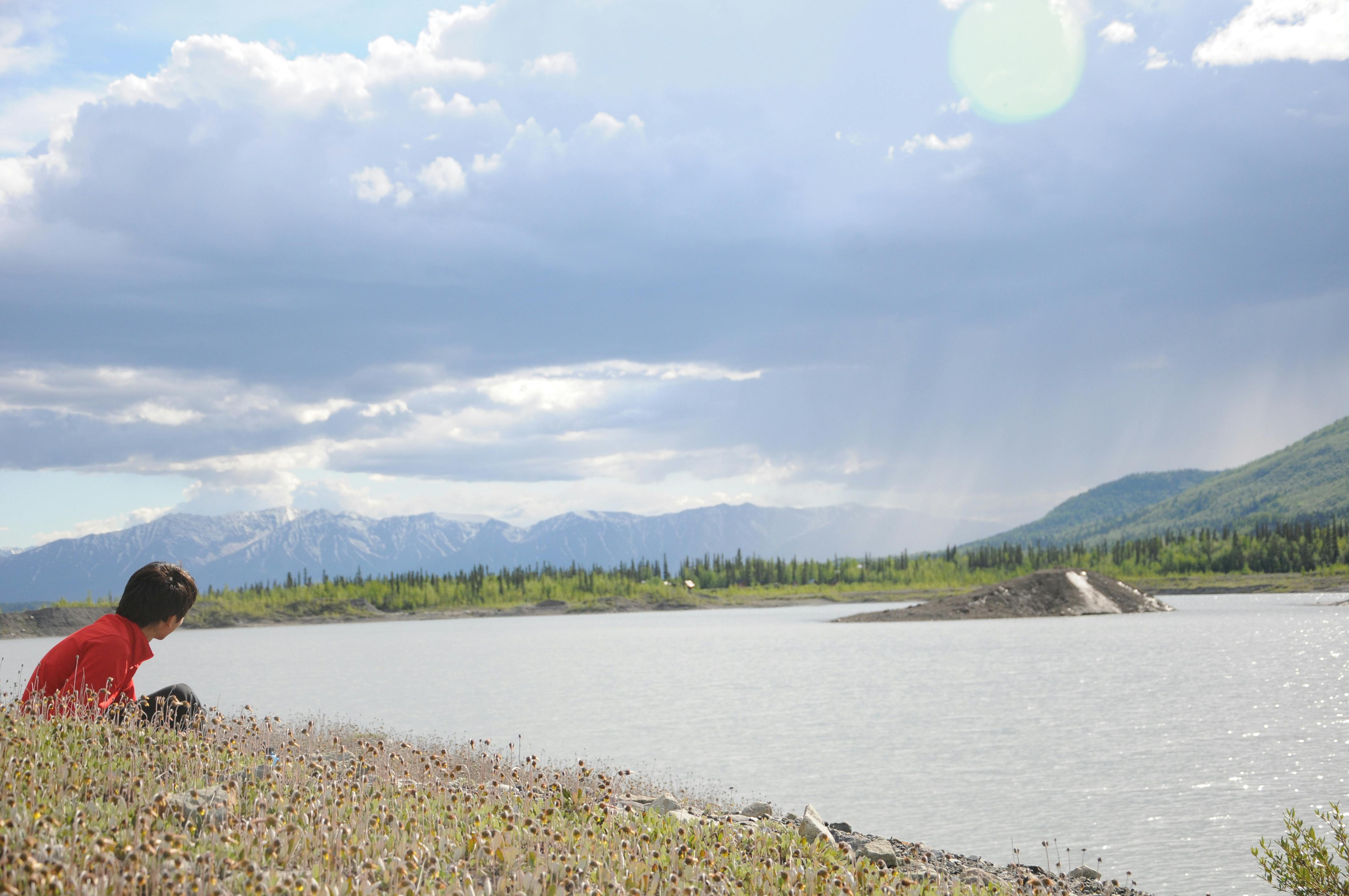 Nicholas Johnston - Fotografía