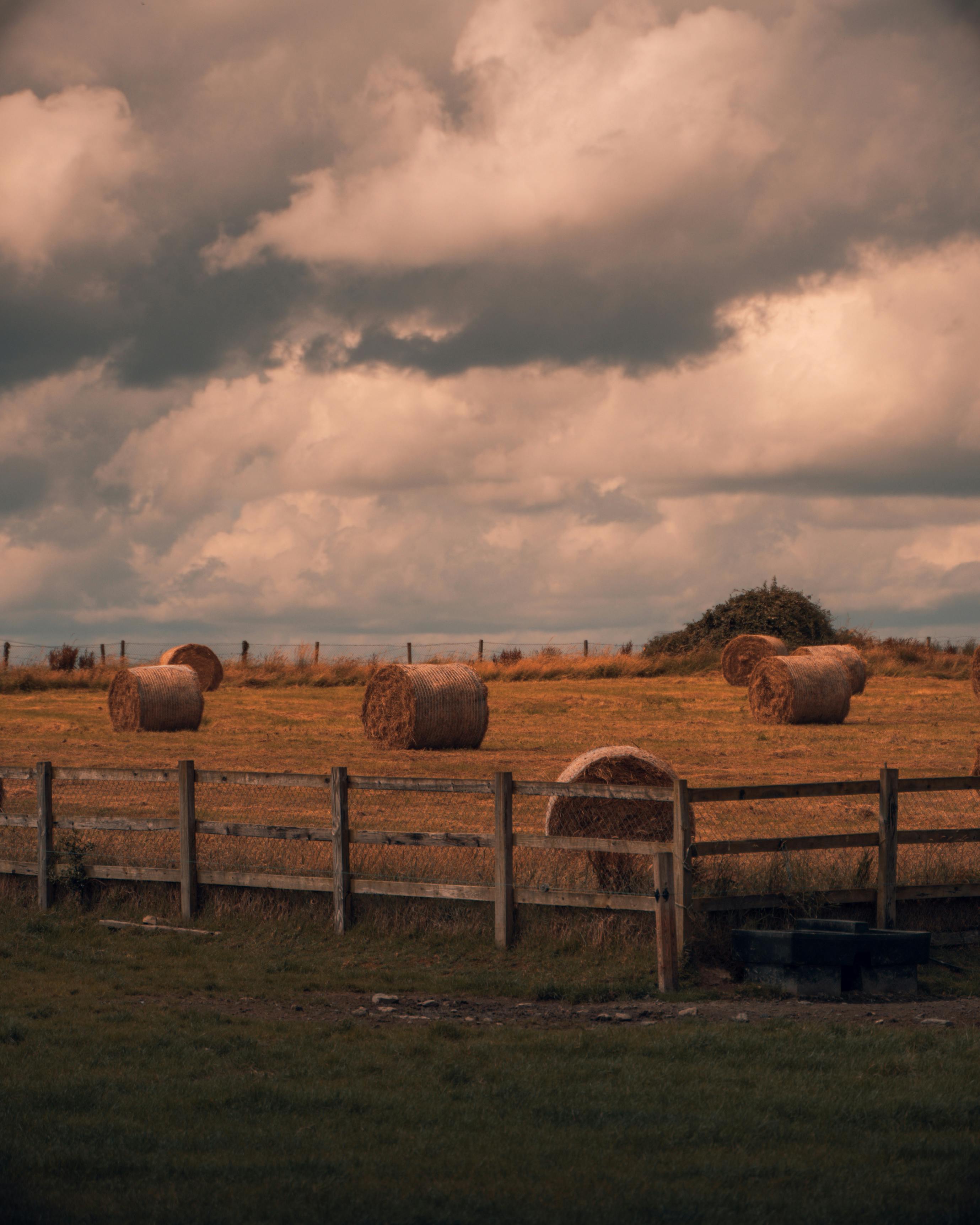 100+ Engaging Bale Photos · Pexels · Free Stock Photos
