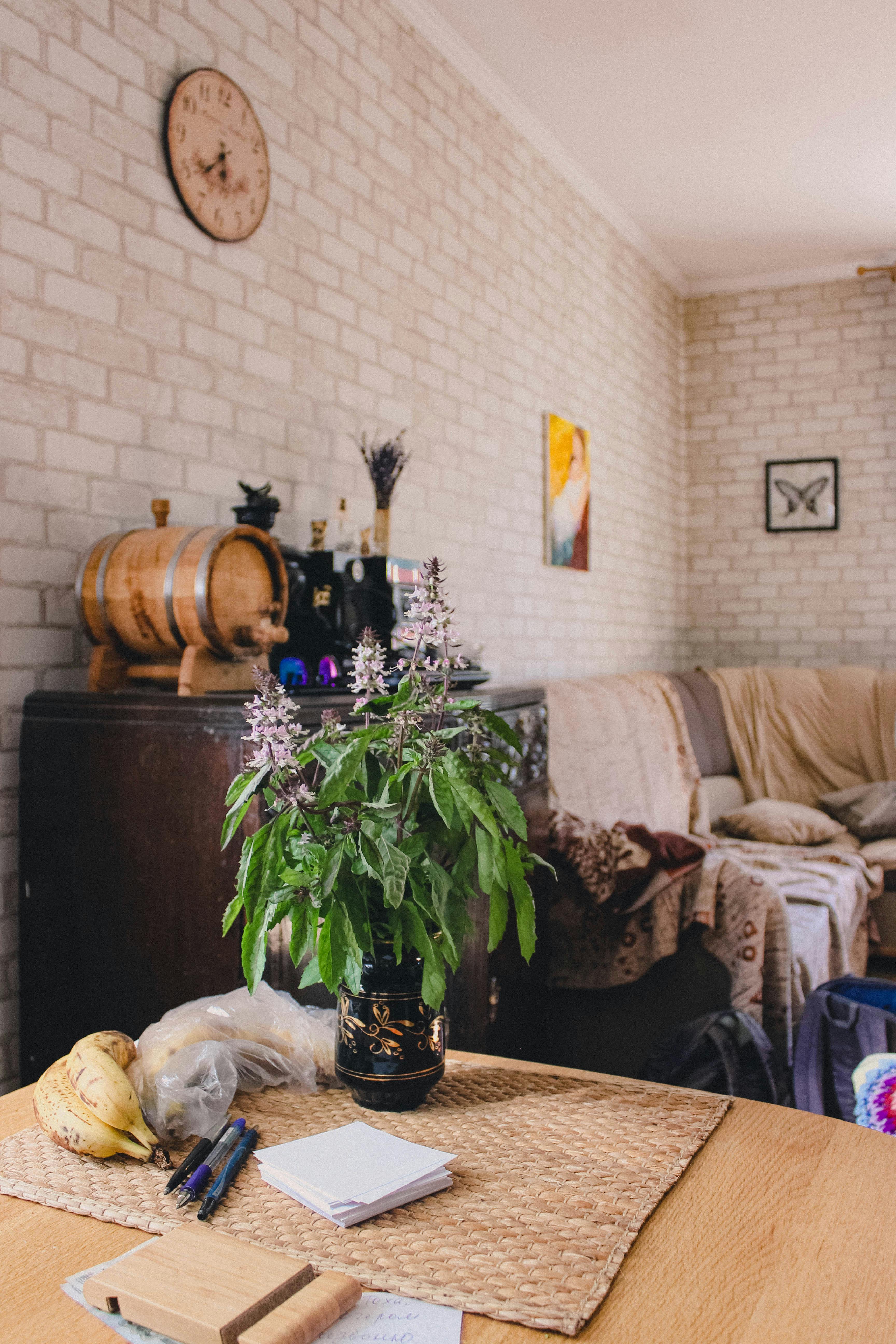 Messy Couch Photos, Download The BEST Free Messy Couch Stock Photos ...