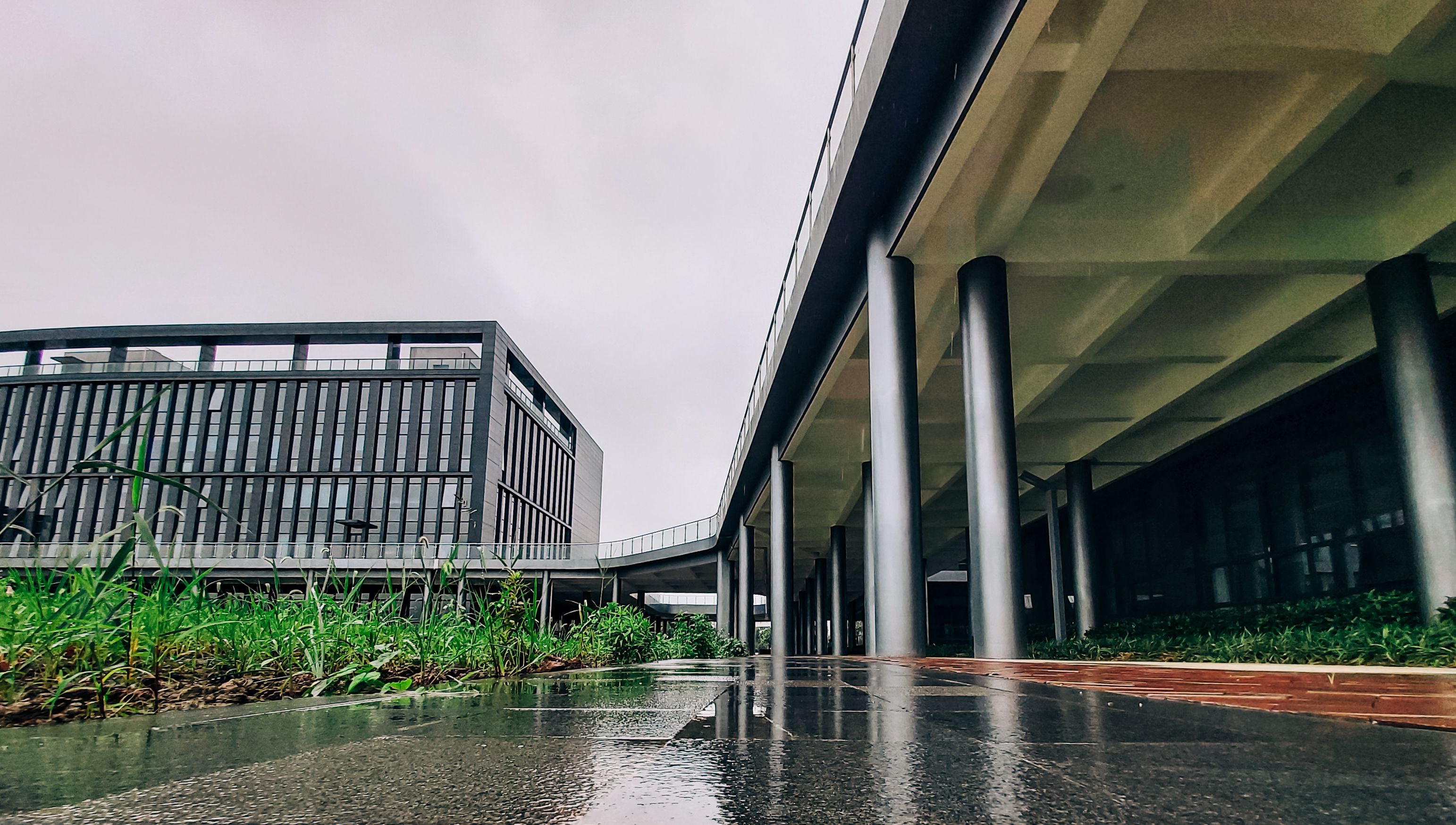 An Indoor Canopy · Free Stock Photo