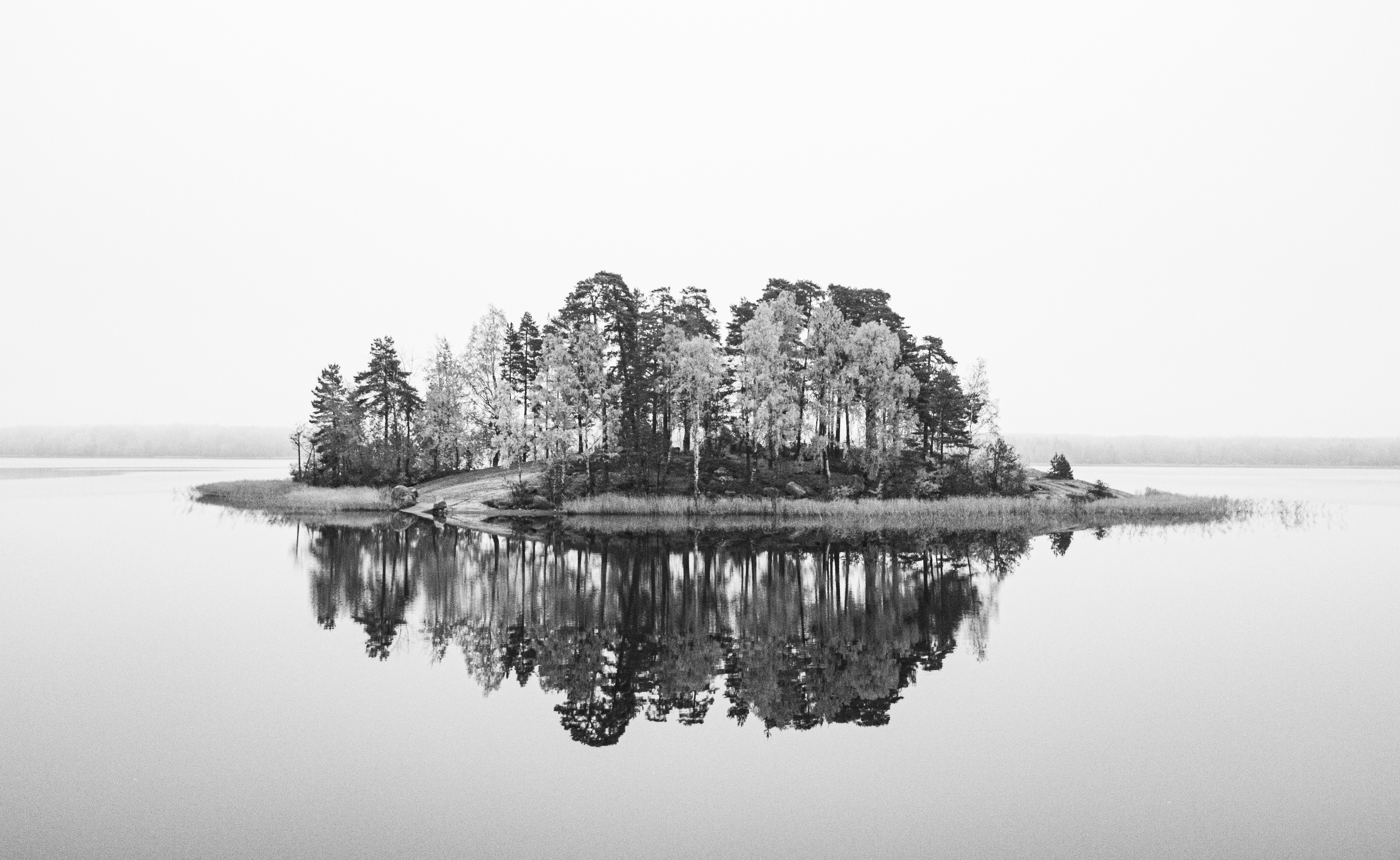 Grayscale Photo of Trees in a Small Island · Free Stock Photo