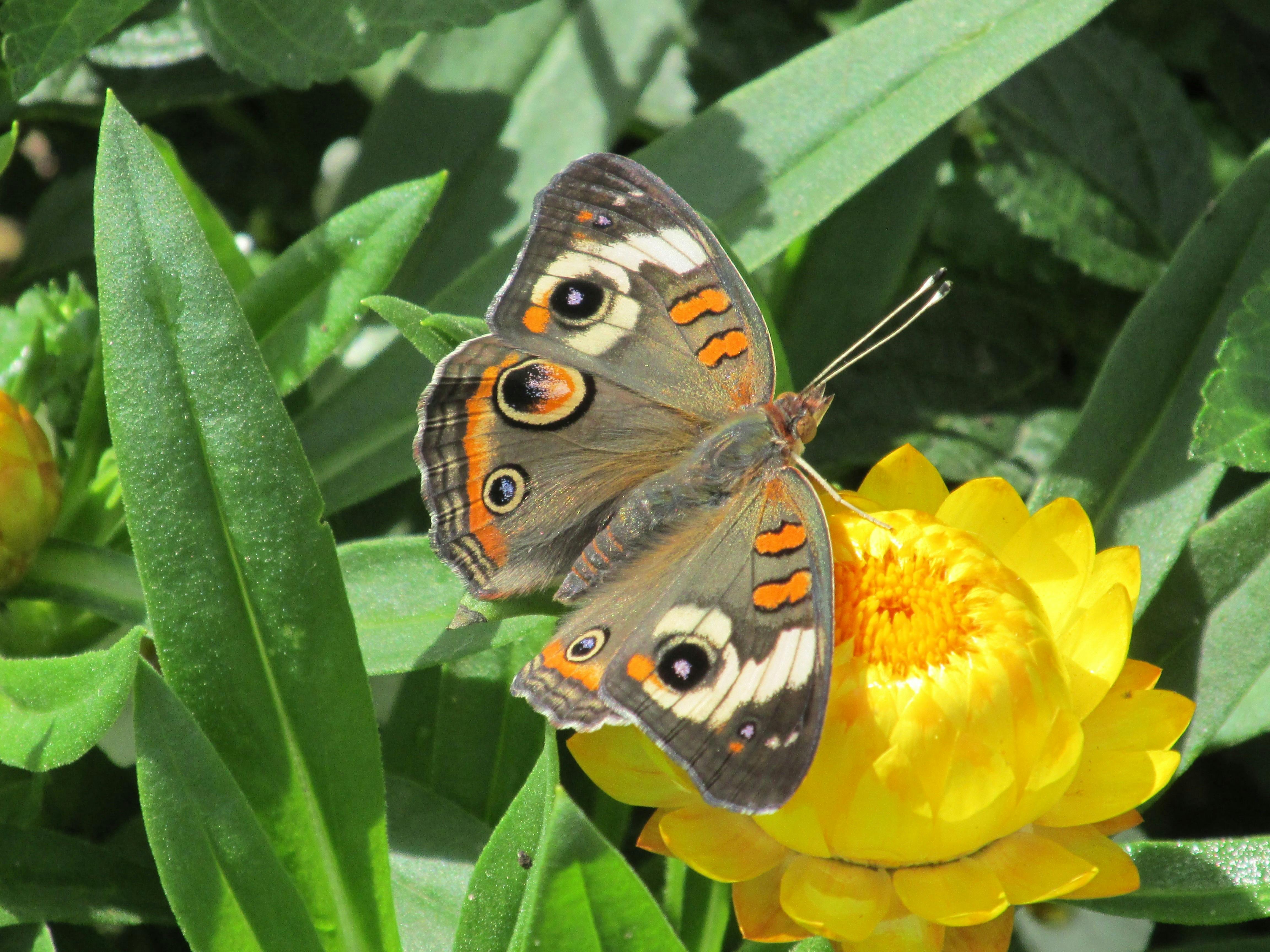 Stephen Sanders - Photography