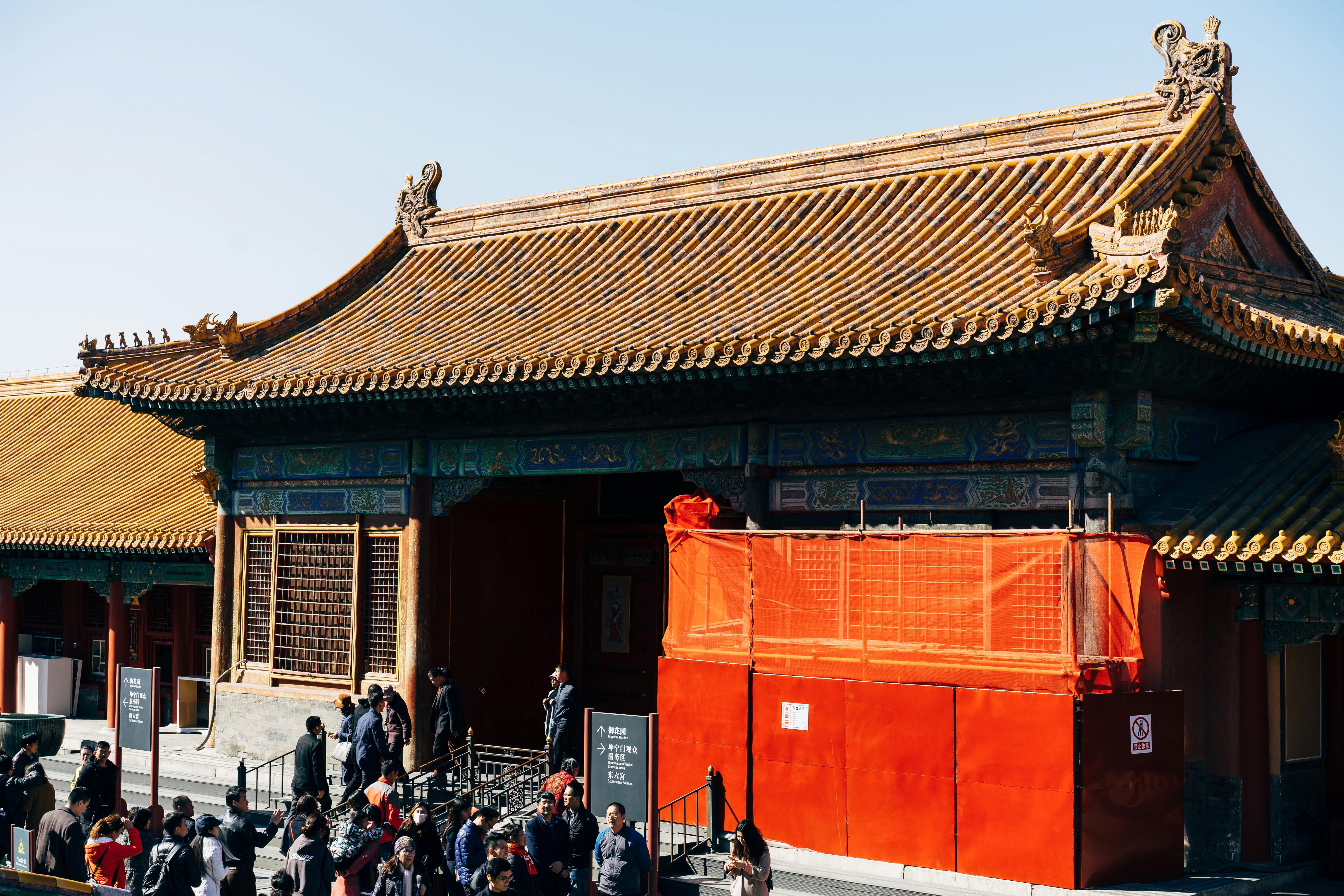 Best Minge Photos · 100% Free Download · Pexels Stock Photos