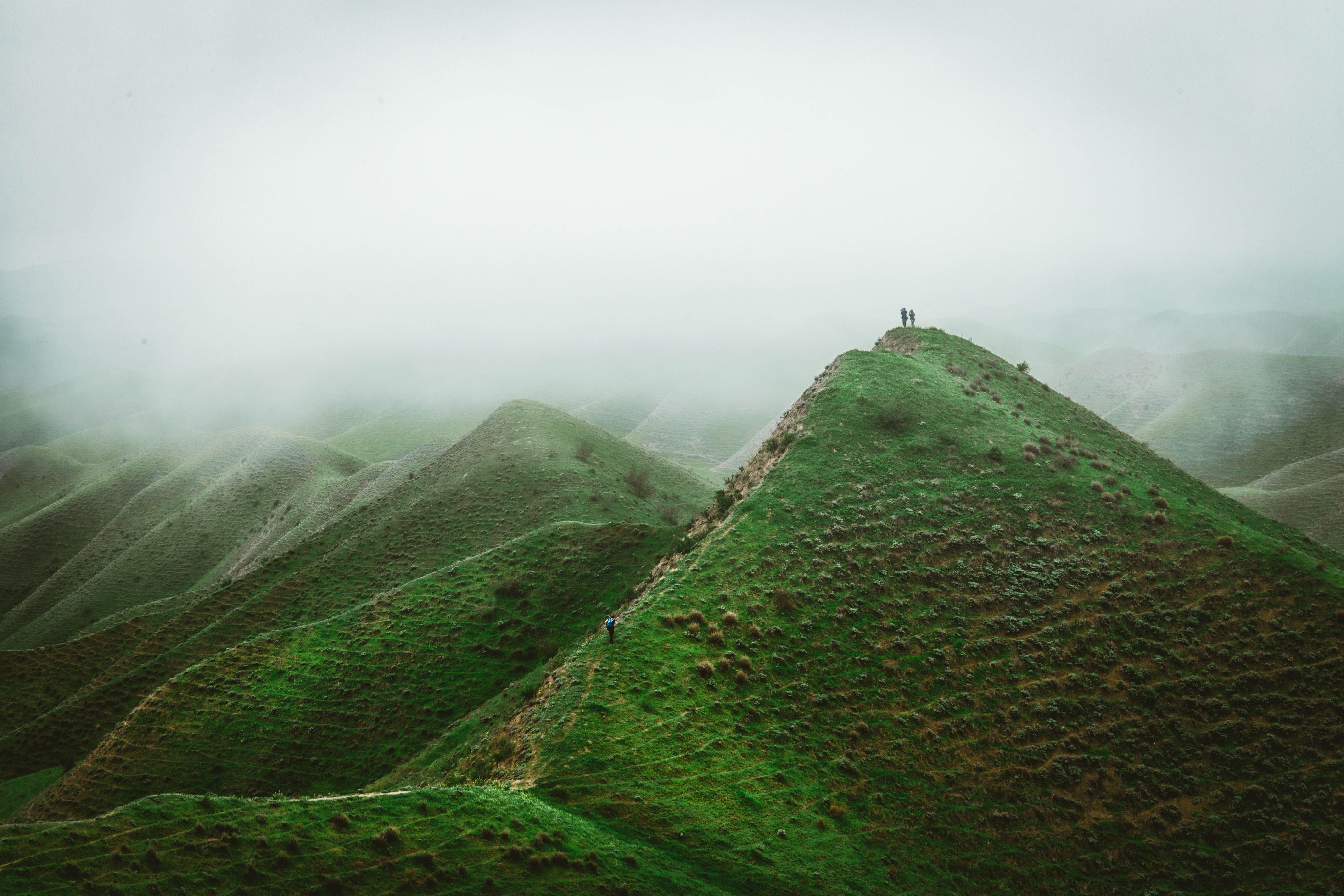 Green forest on hill in haze · Free Stock Photo