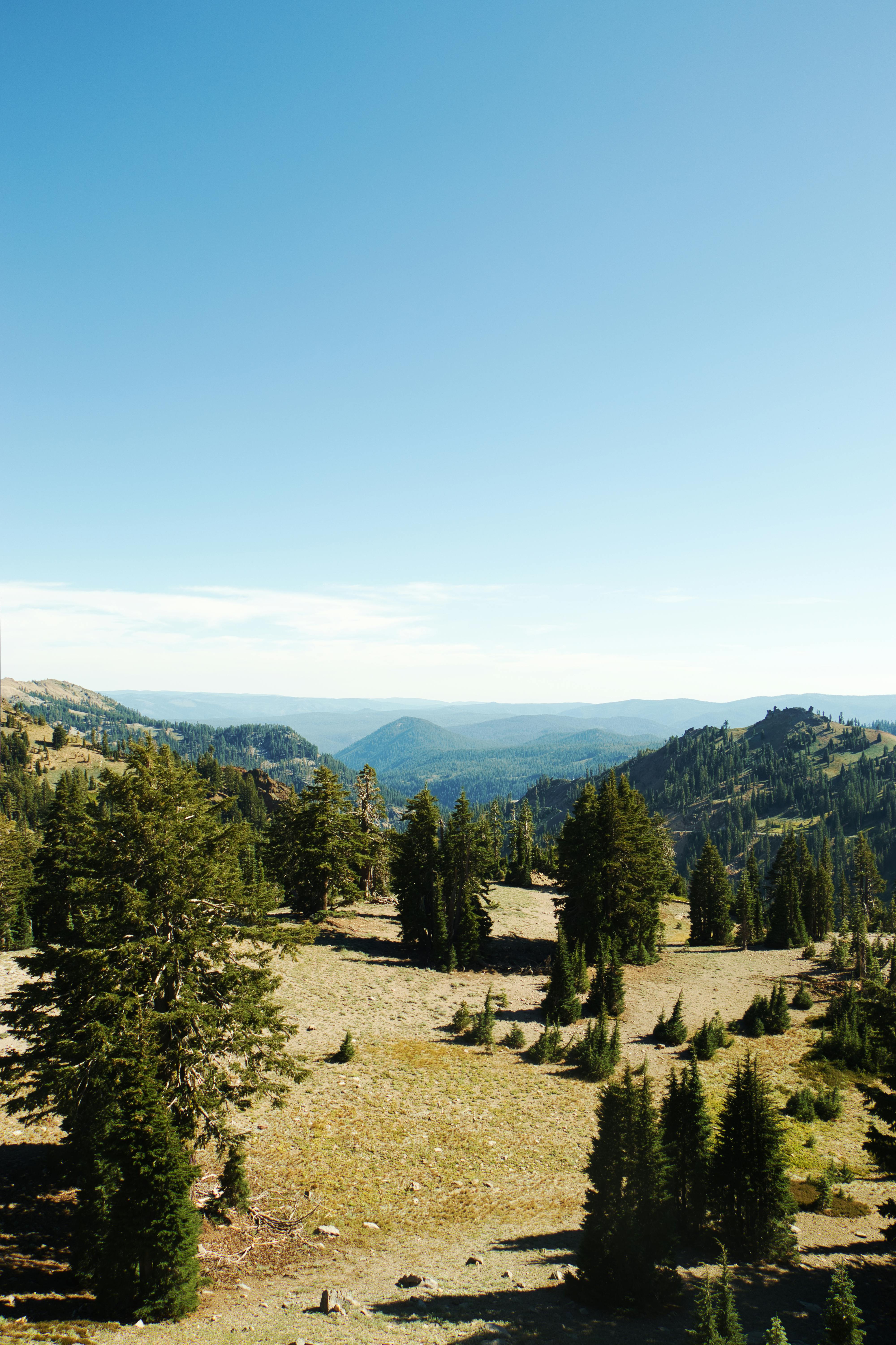 Clear sky over trees in valley in summertime · Free Stock Photo