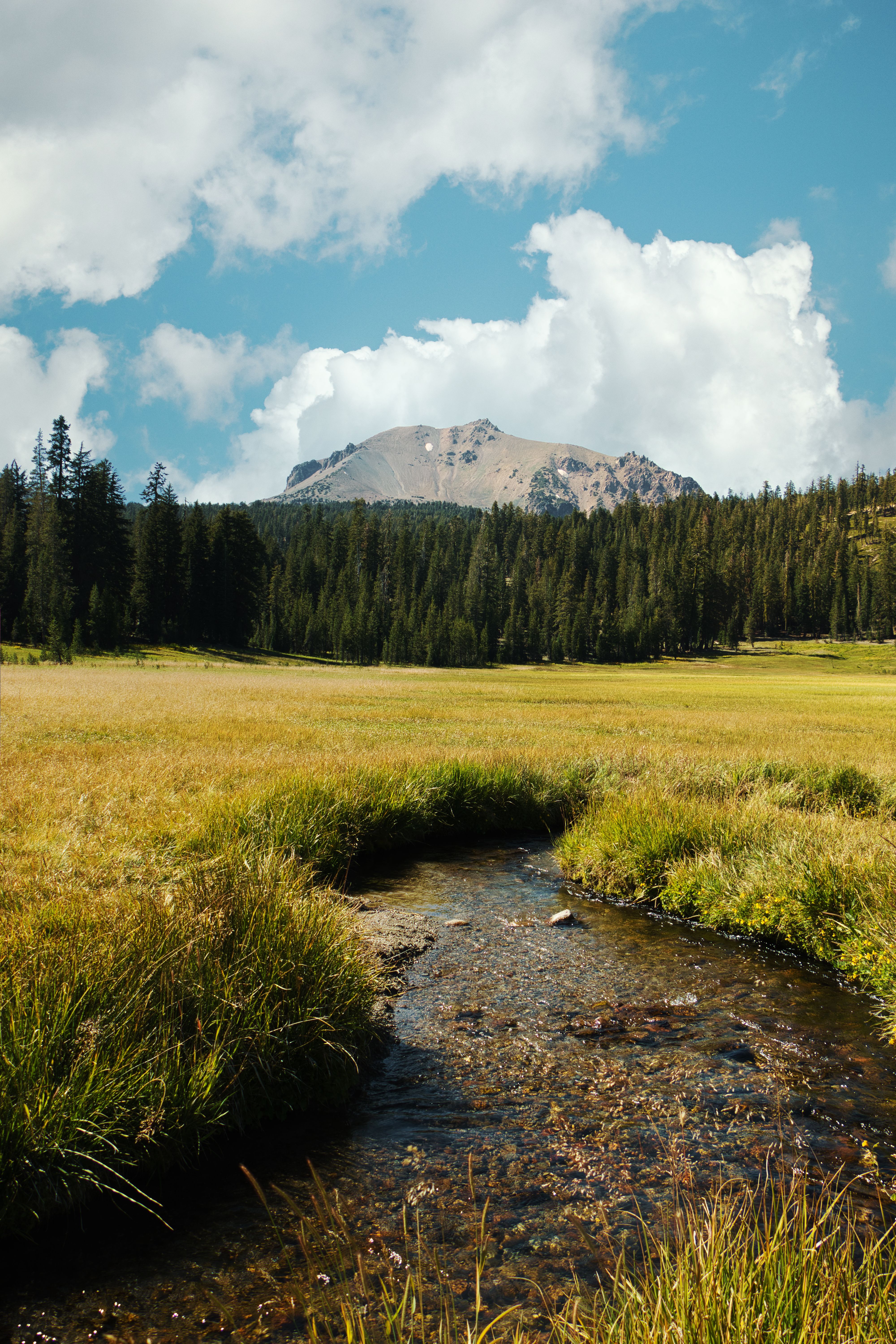 Narrow brook in meadow in daytime · Free Stock Photo