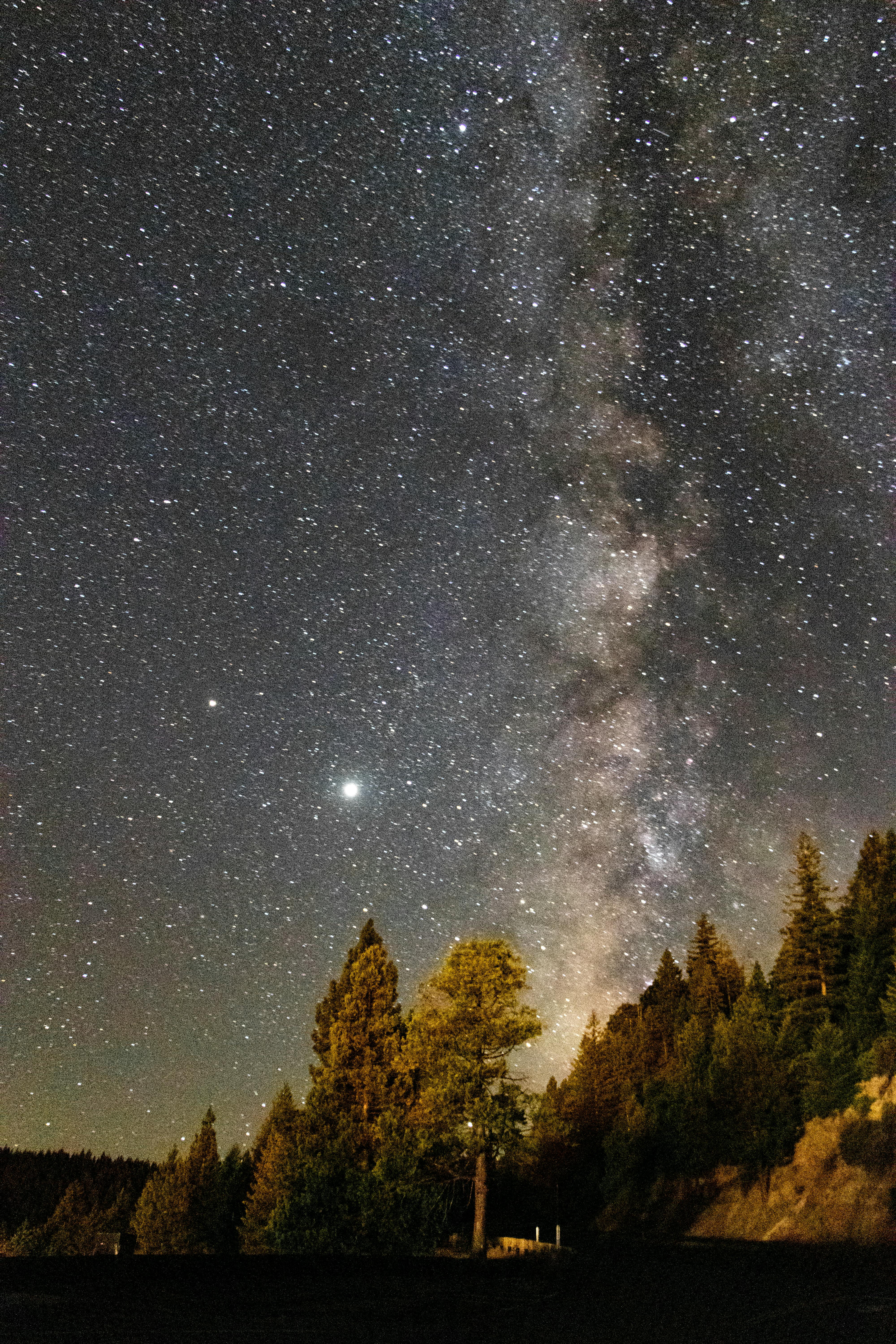 Wonderful starry sky over forest · Free Stock Photo