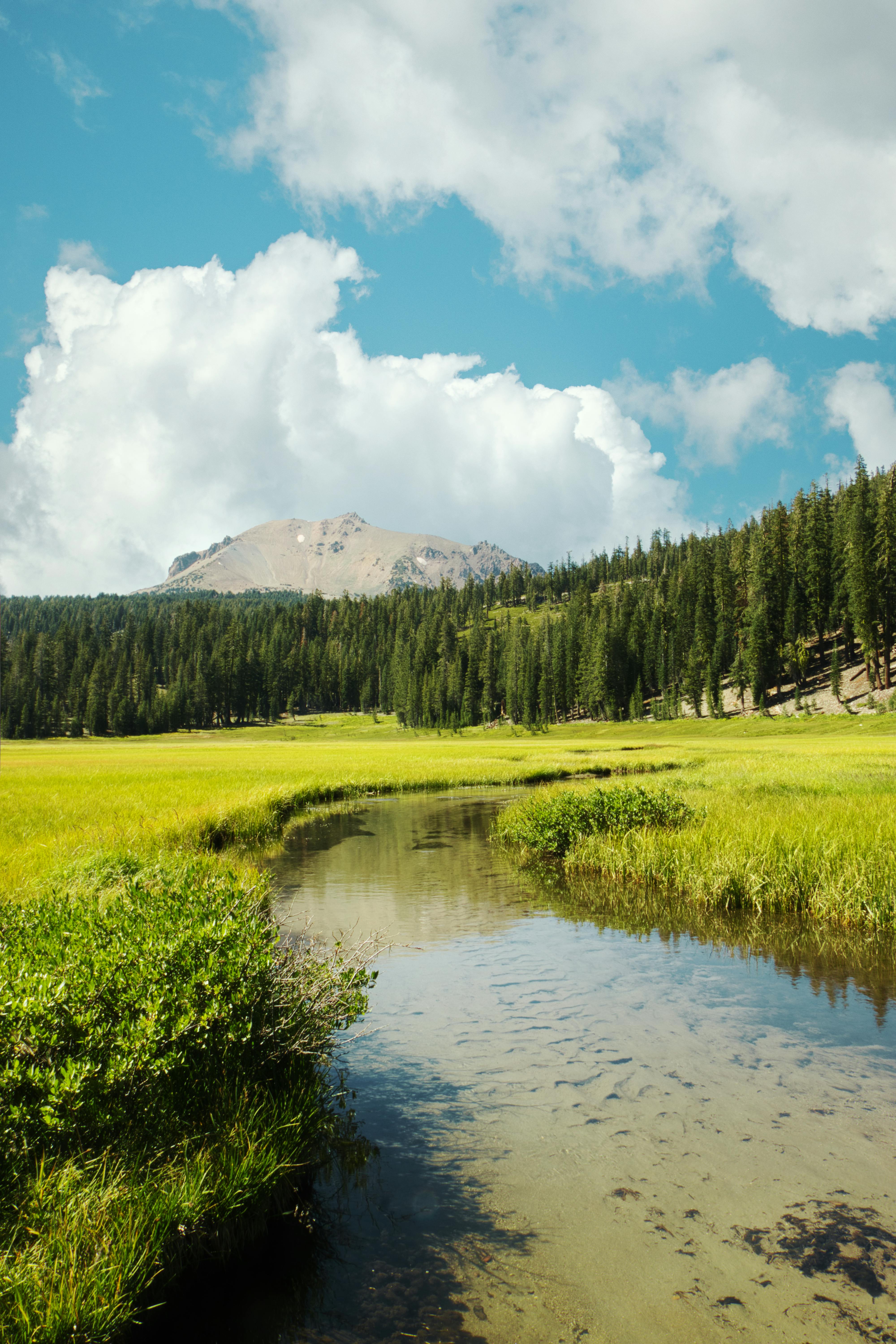 Crystal stream flowing thorough grassy glade · Free Stock Photo