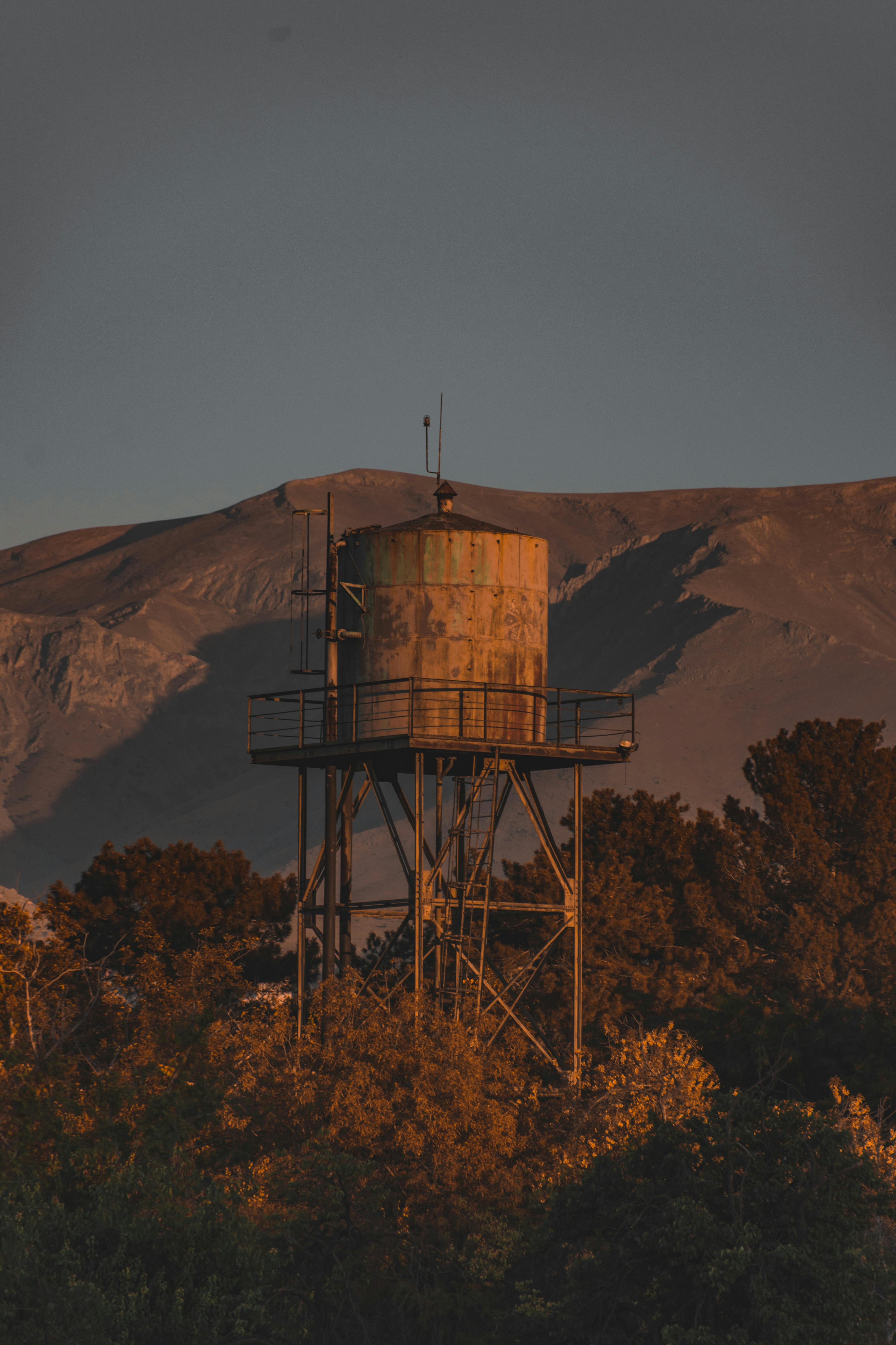 An Overhead Water Tank Above Green Trees · Free Stock Photo