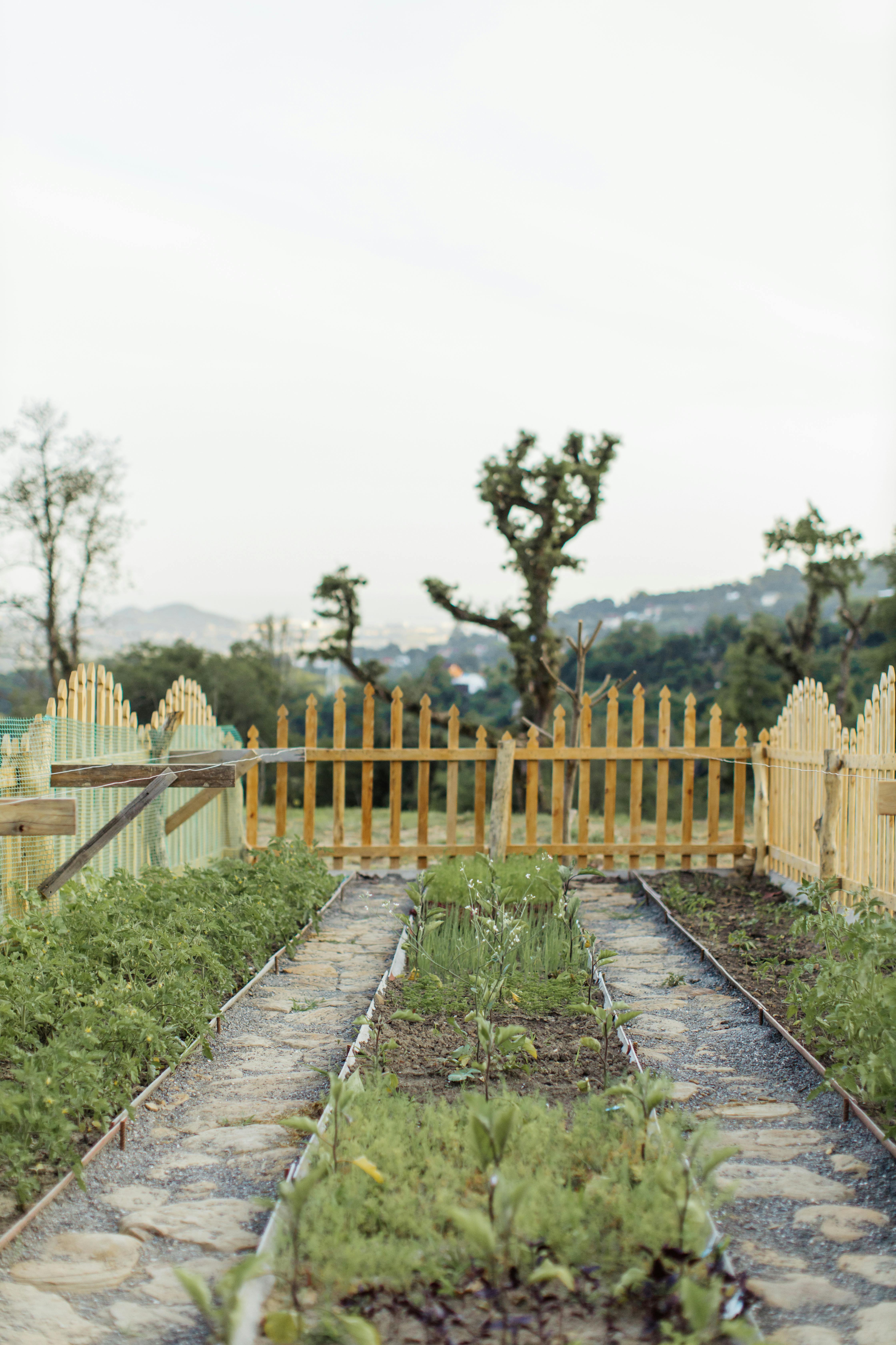 Footpath Background Photos, Download The BEST Free Footpath Background ...