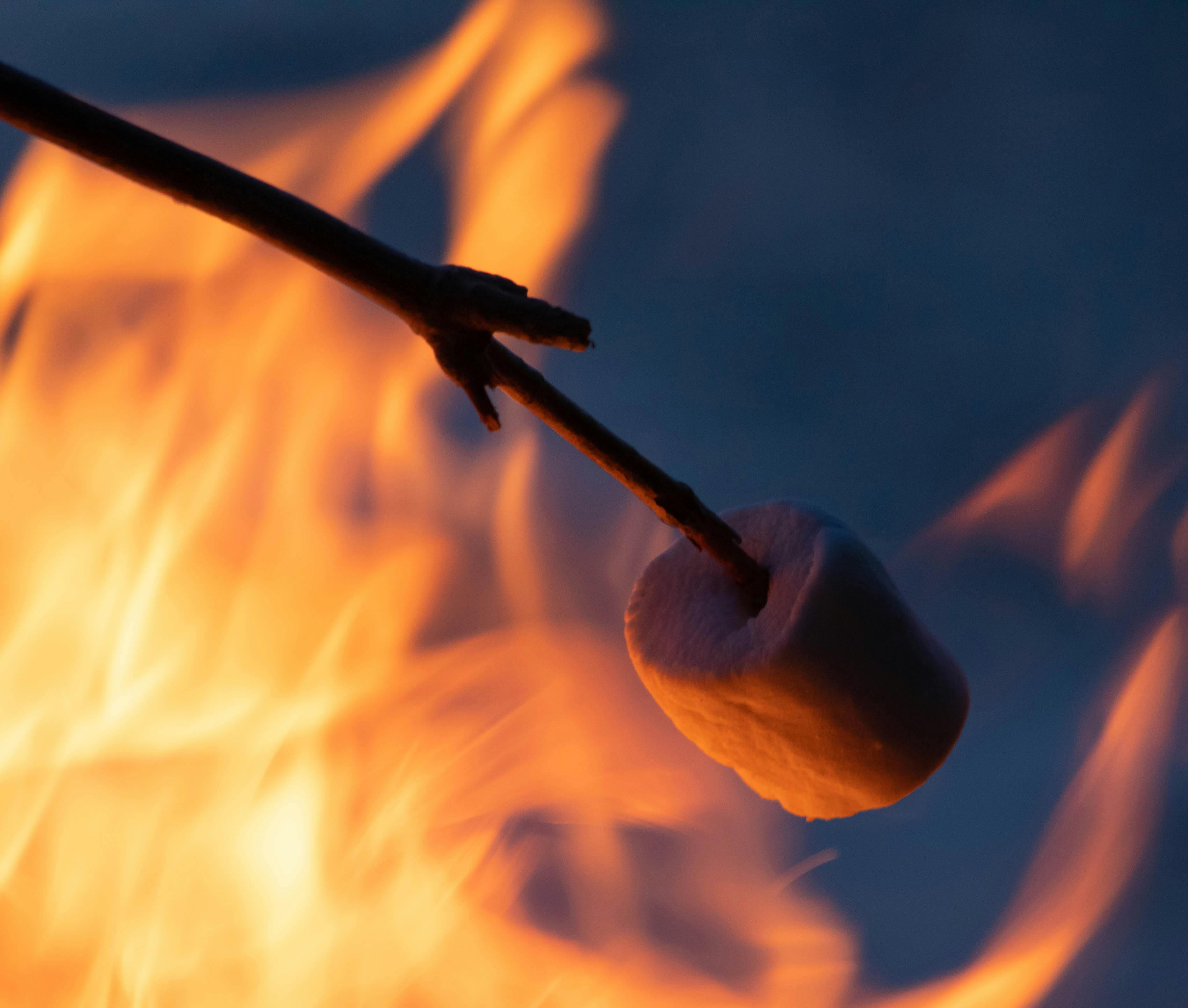 Marshmallow Grilled on Fire · Free Stock Photo