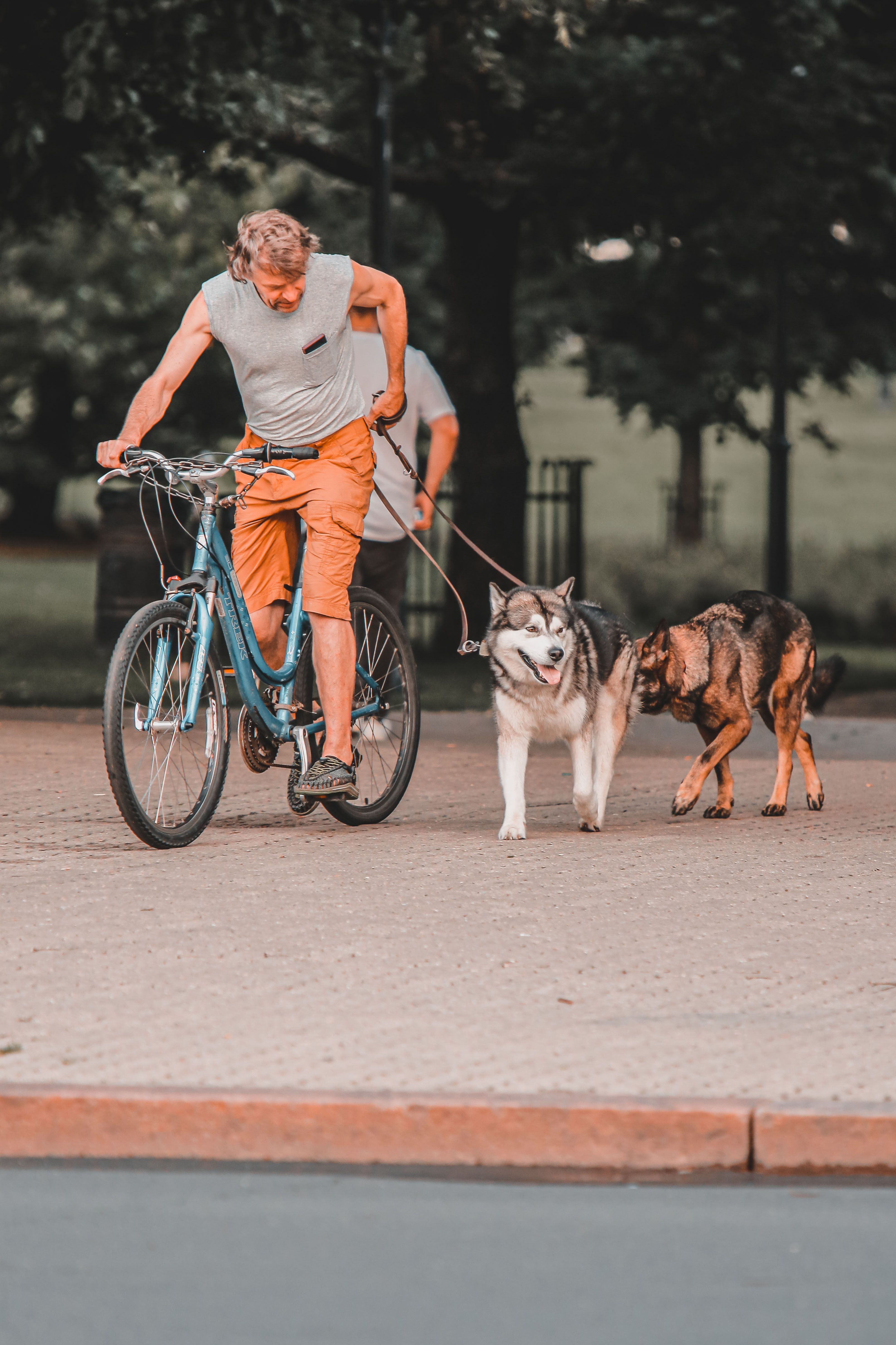 Street Clothing Store · Free Stock Photo