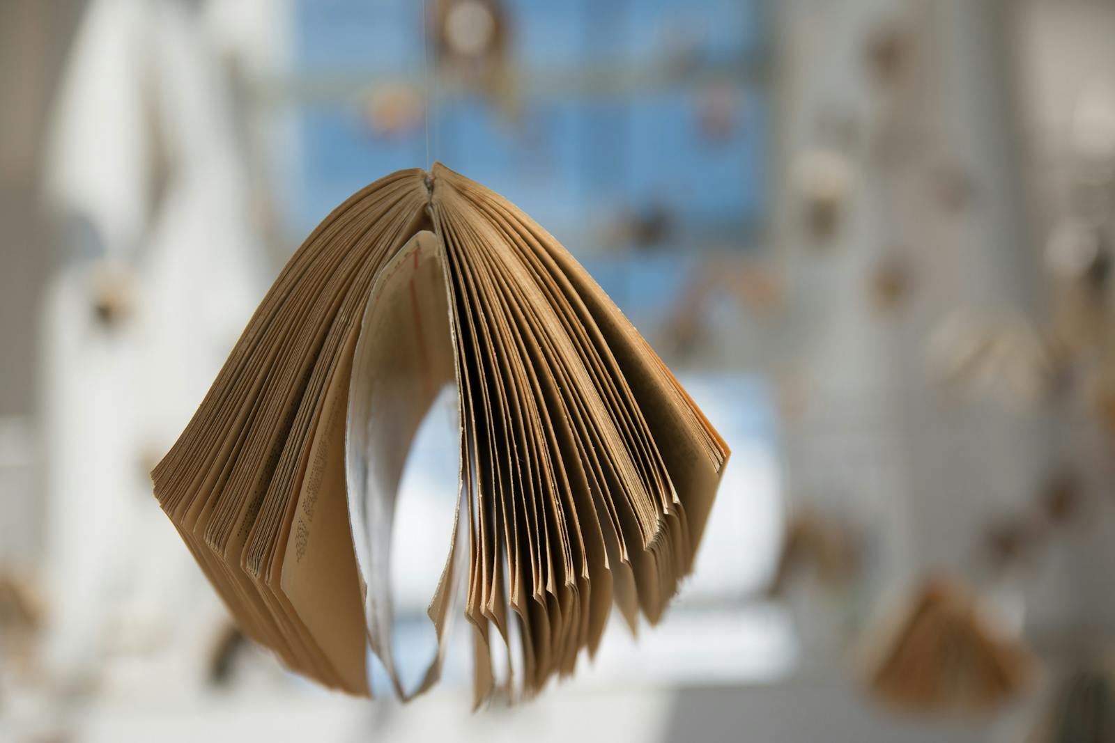 Book Art Photos, Download The BEST Free Book Art Stock Photos & HD Images