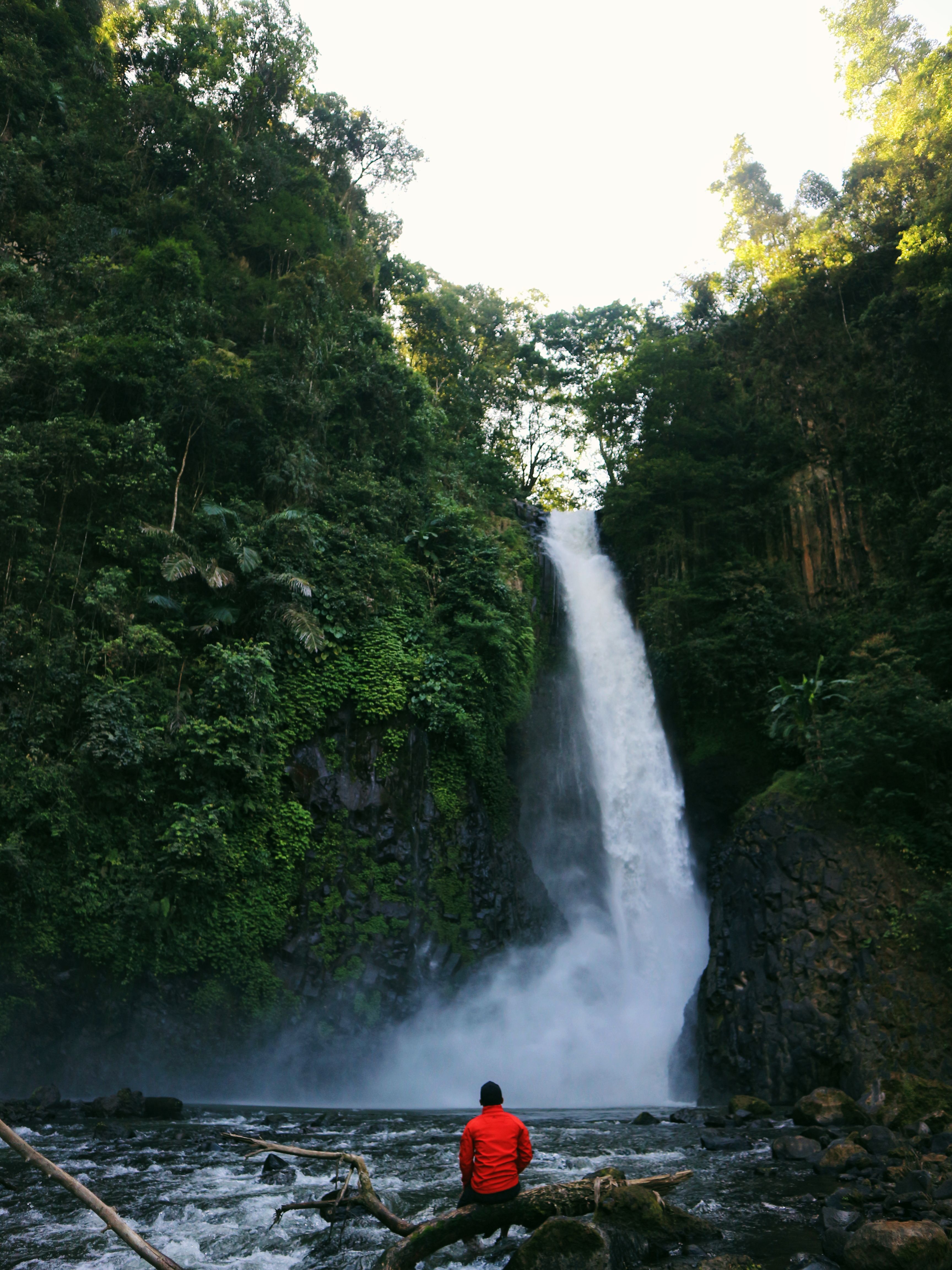 Person Looking at a Waterfall · Free Stock Photo