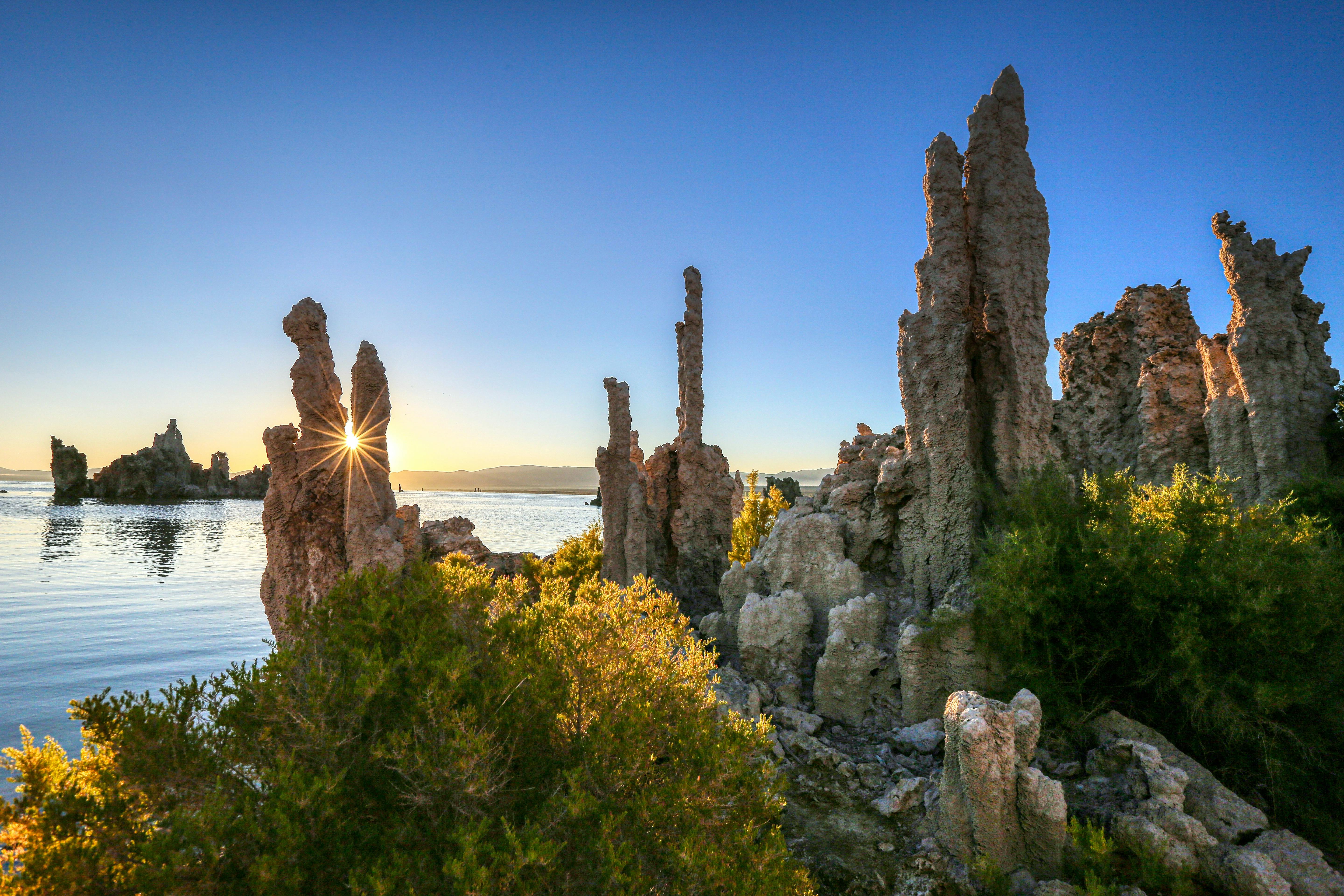 Green Trees Growing on Gray Rock Formations · Free Stock Photo