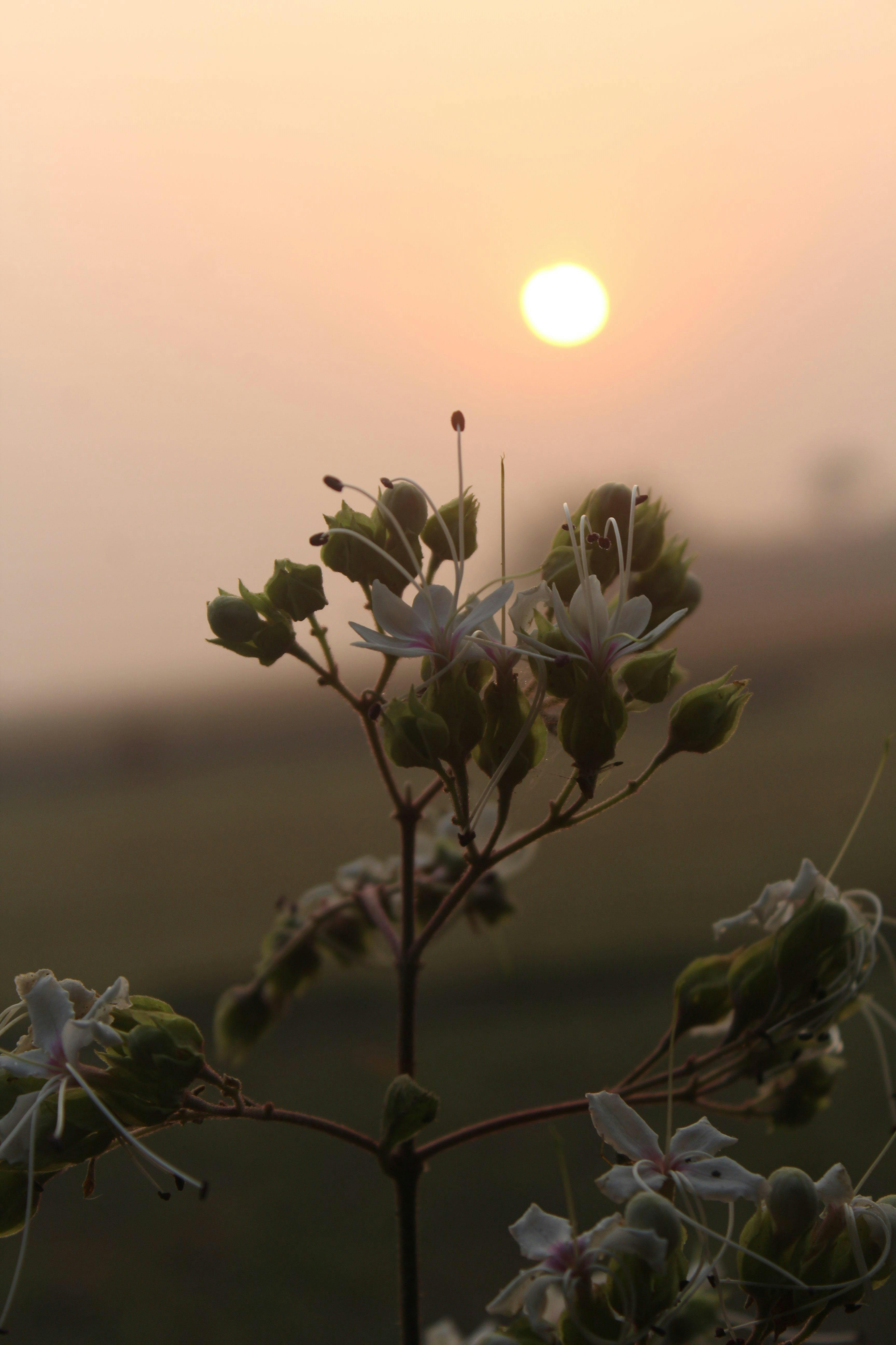 Happy Birthday Sign on a Beach · Free Stock Photo