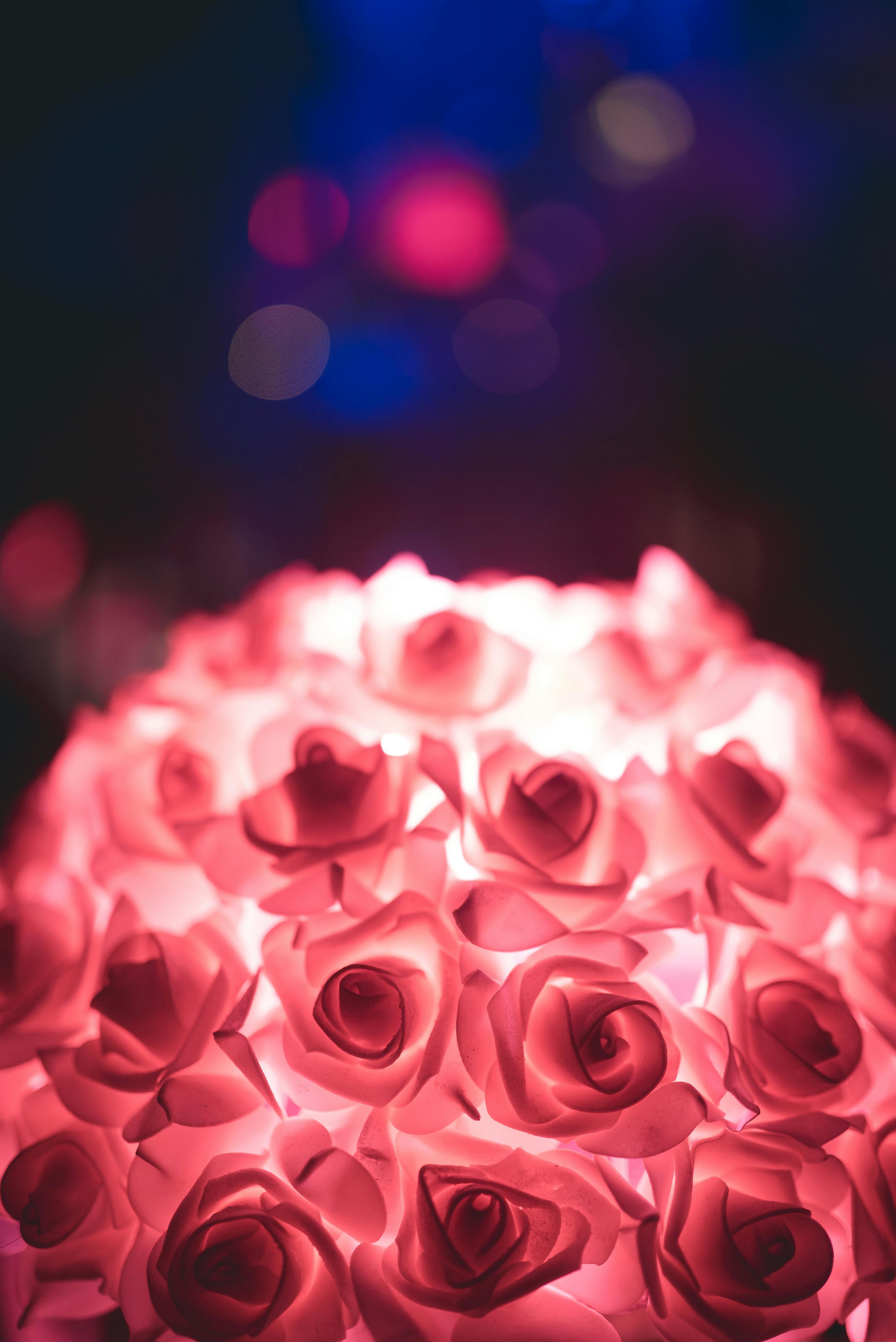 Alexander - Photography