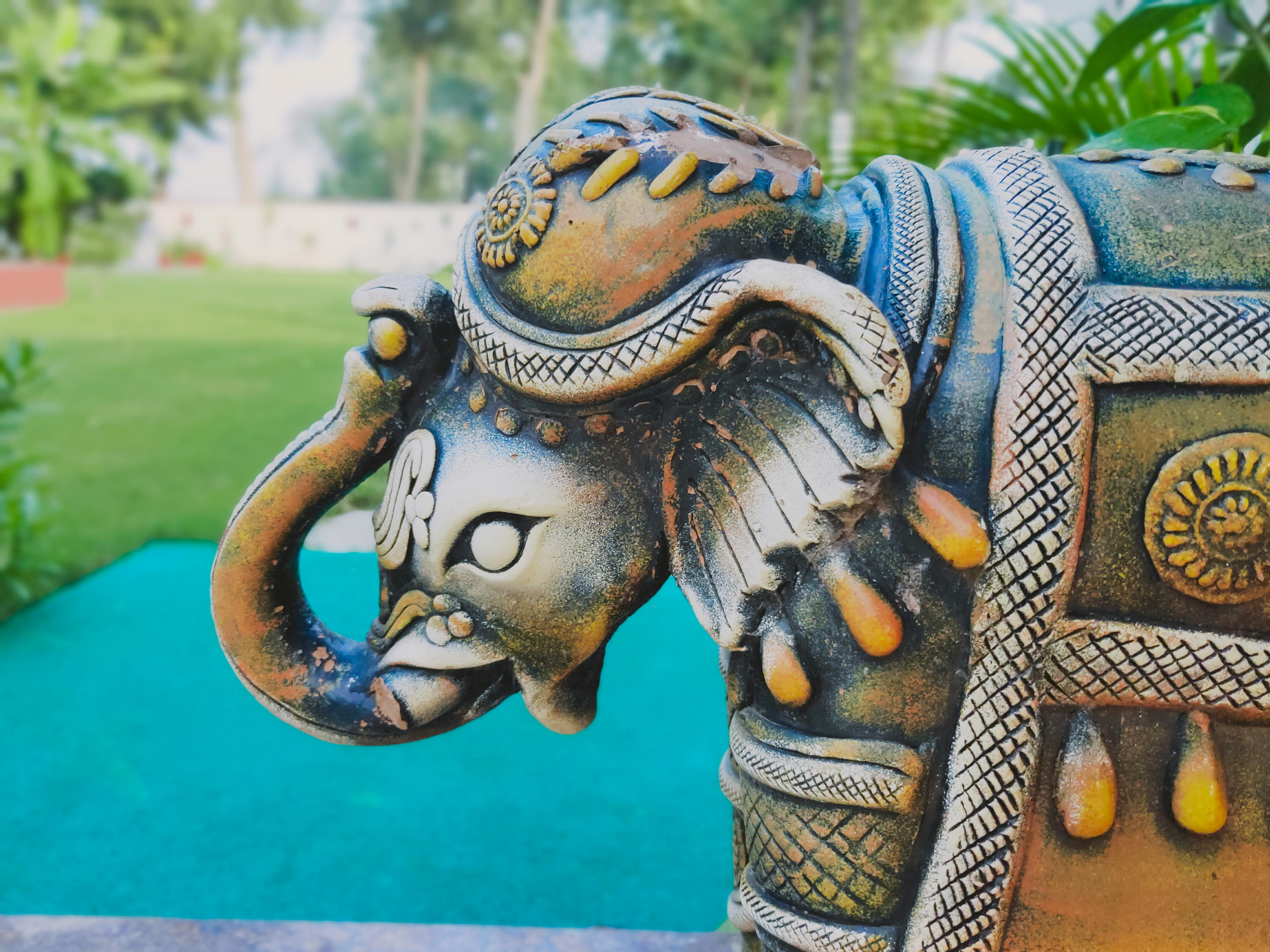 Ashutosh Vyas - 攝影