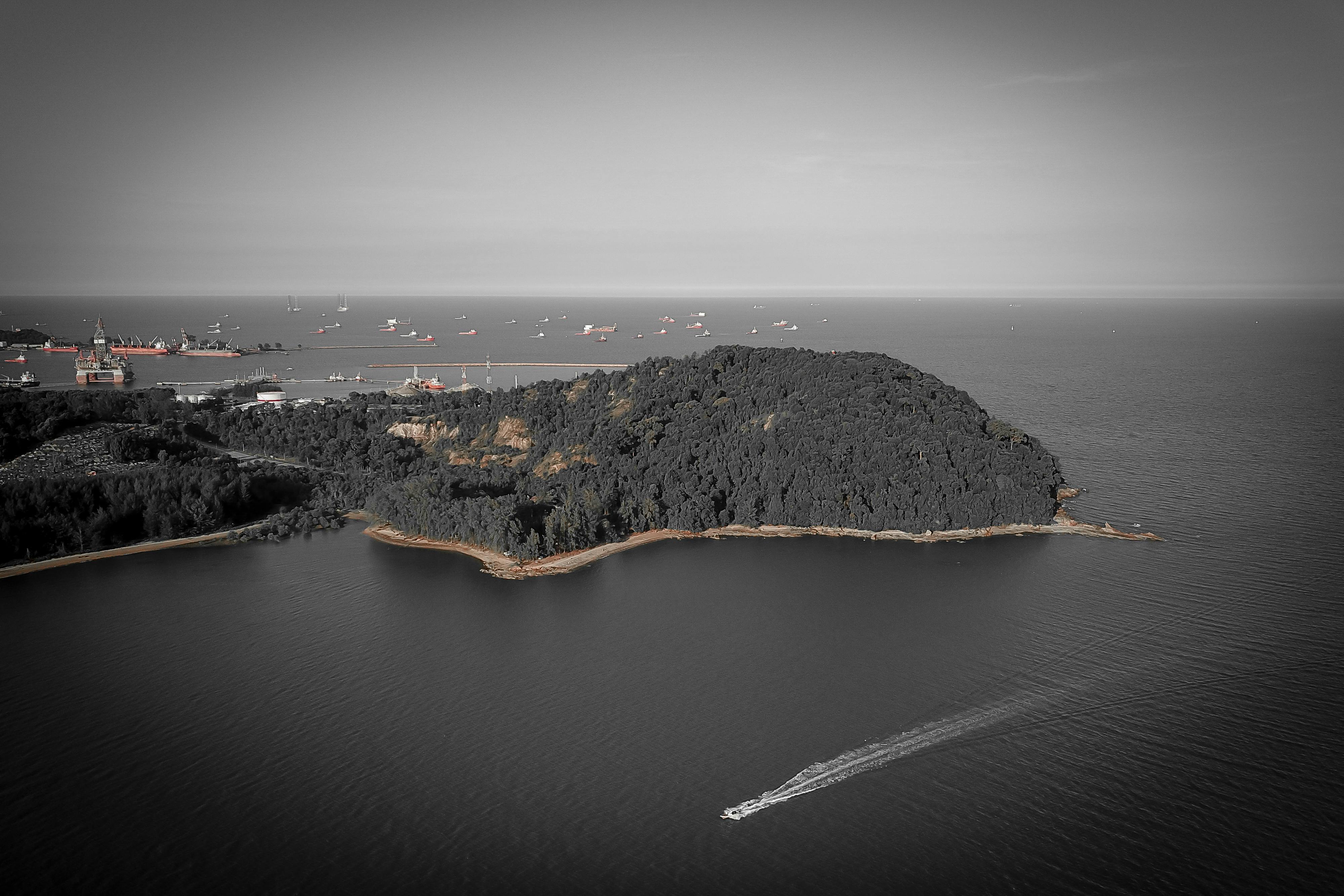 Peninsula with trees surrounded by sea · Free Stock Photo