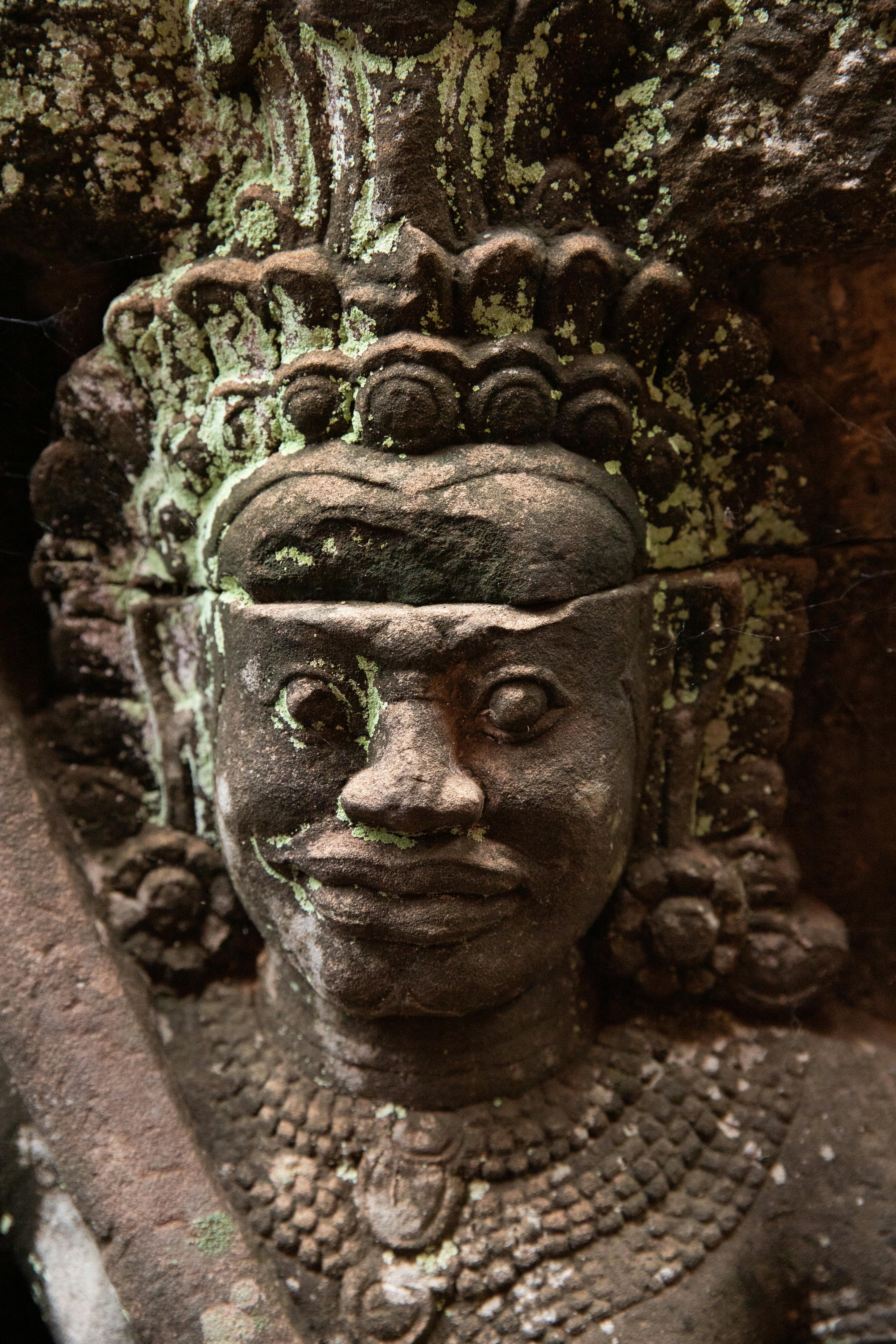 Material Verde Photos, Download The BEST Free Material Verde Stock ...