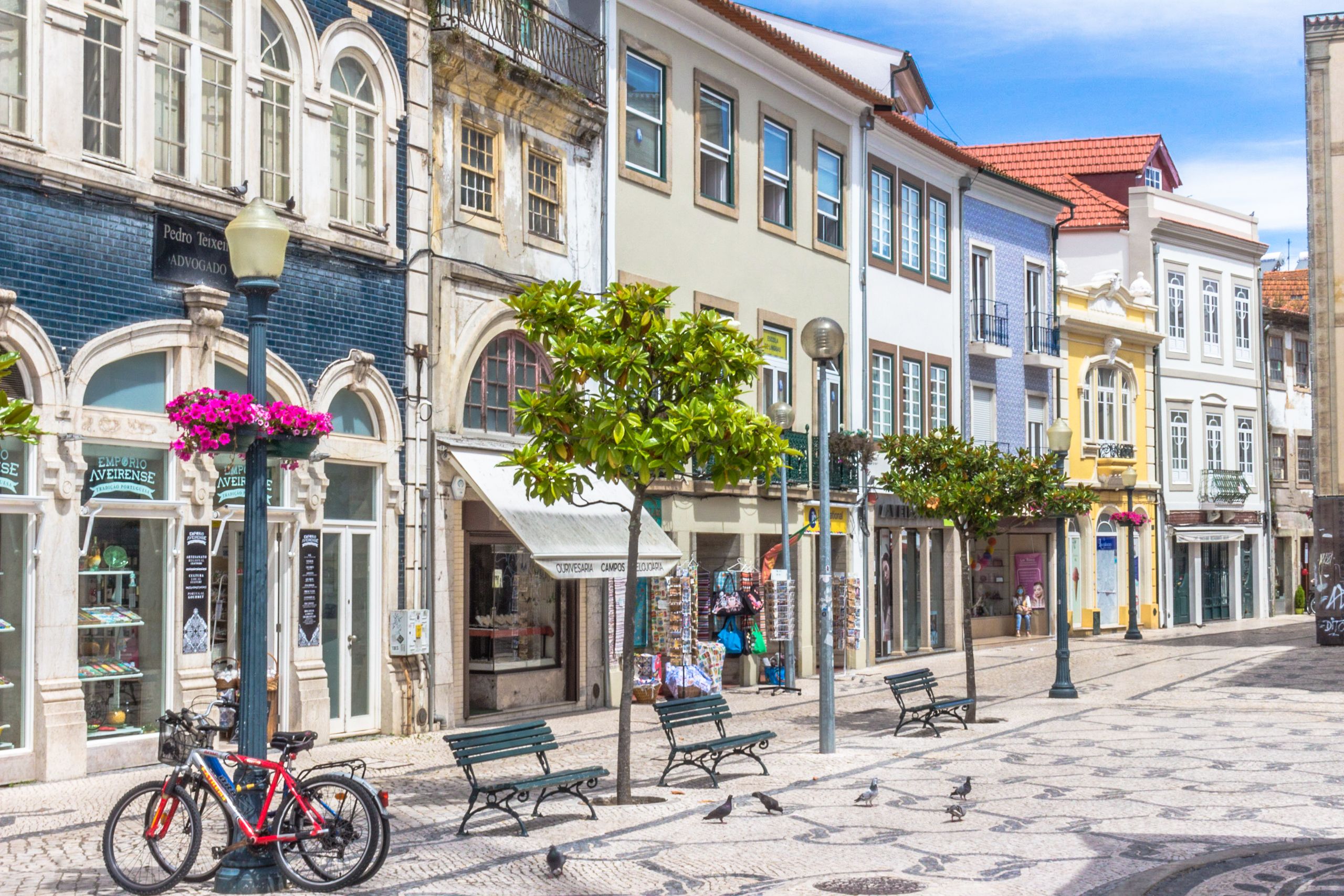 Benches in Front of Buildings · Free Stock Photo