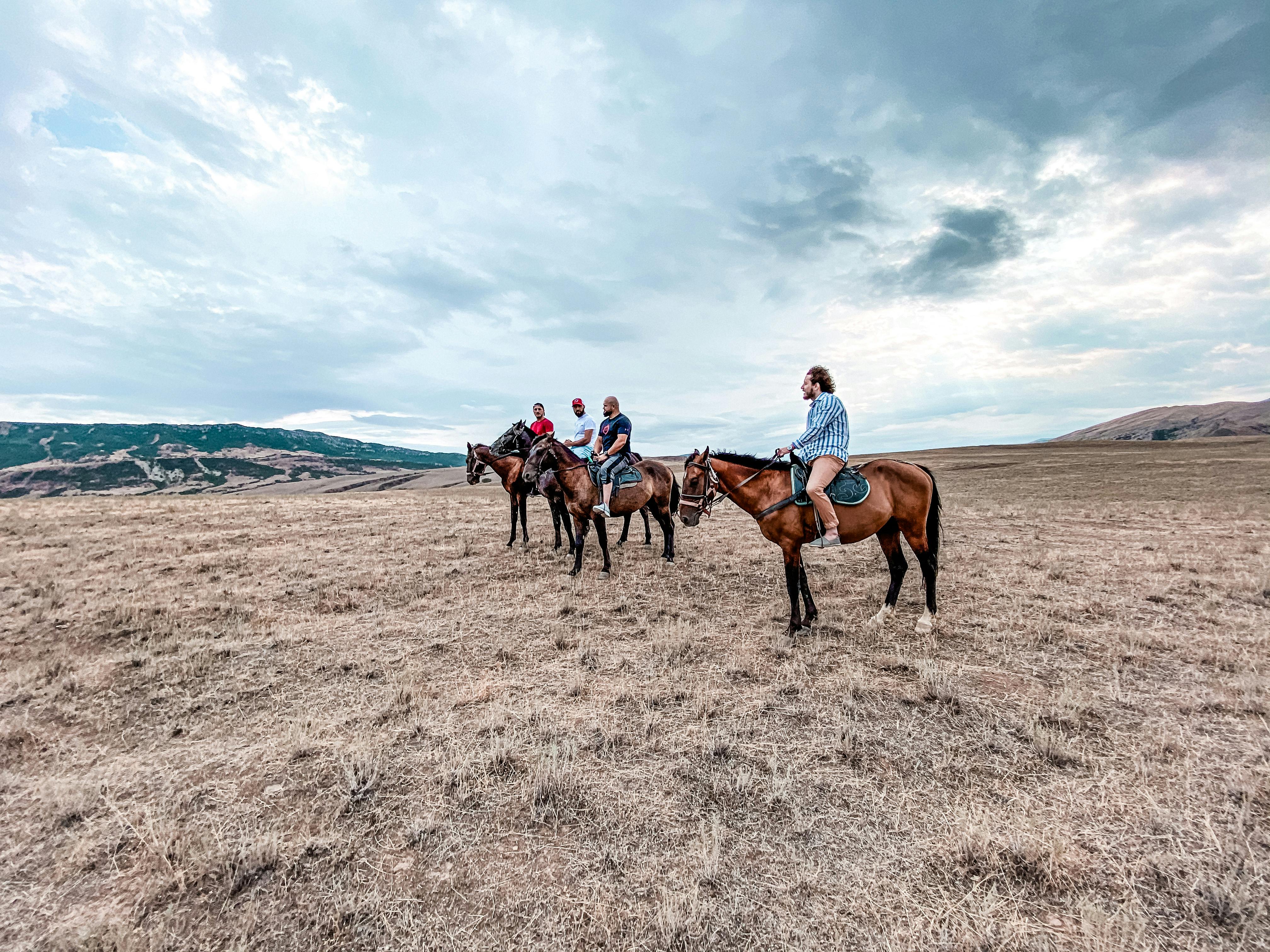 Photography of a Person Riding a Horse · Free Stock Photo